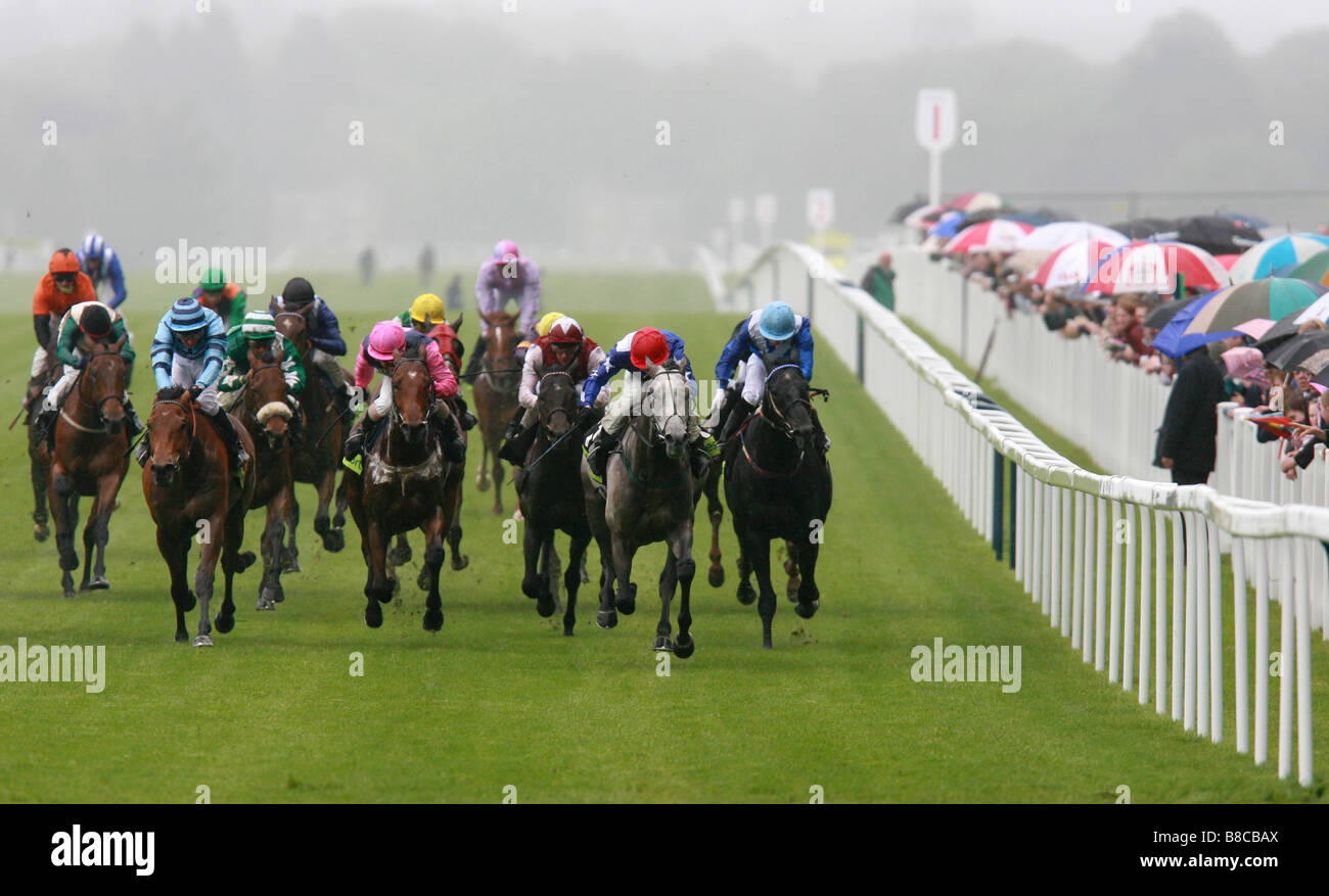 Ascot races stand hi-res stock photography and images - Alamy