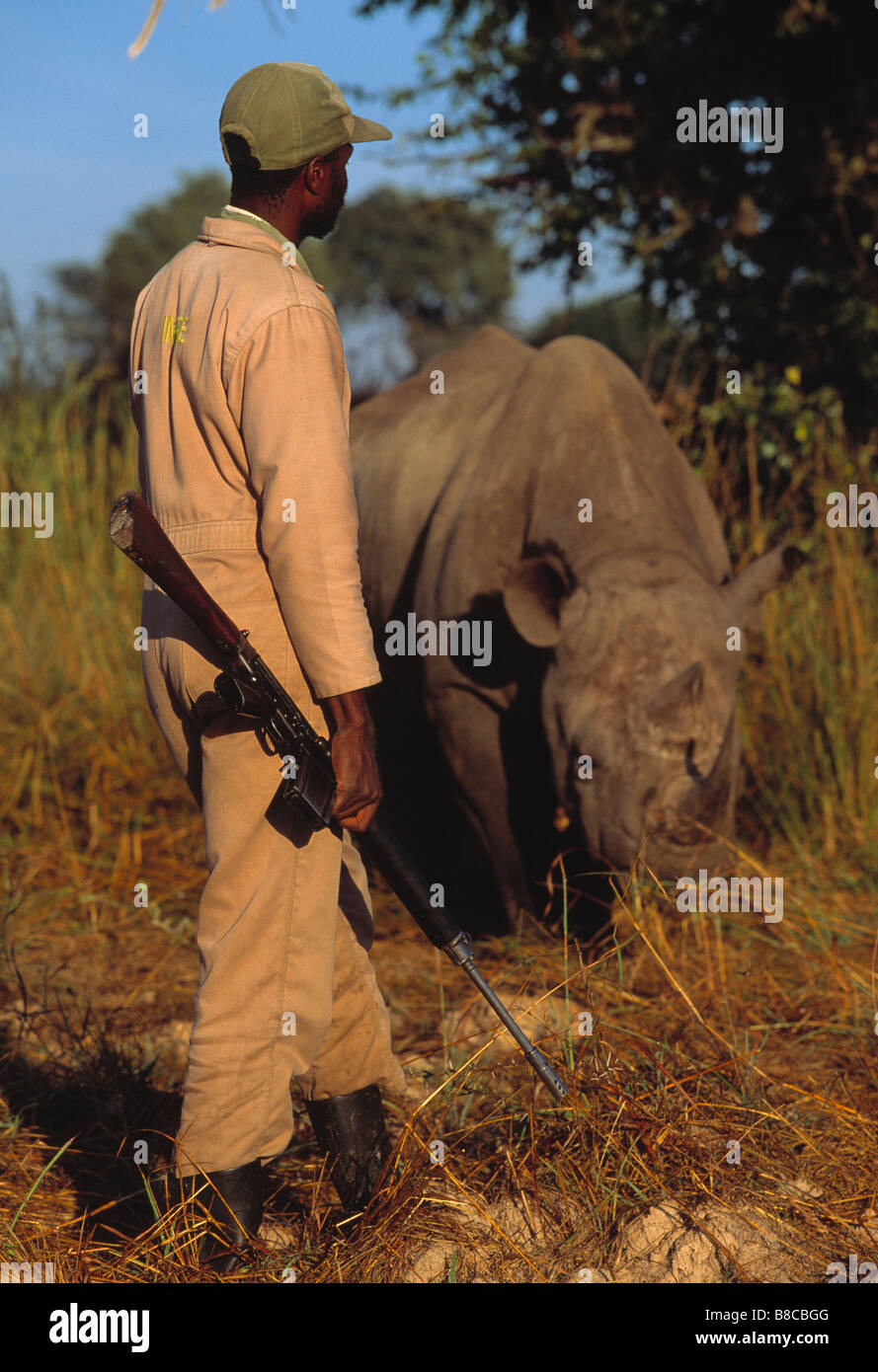RHINO under guard Stock Photo - Alamy