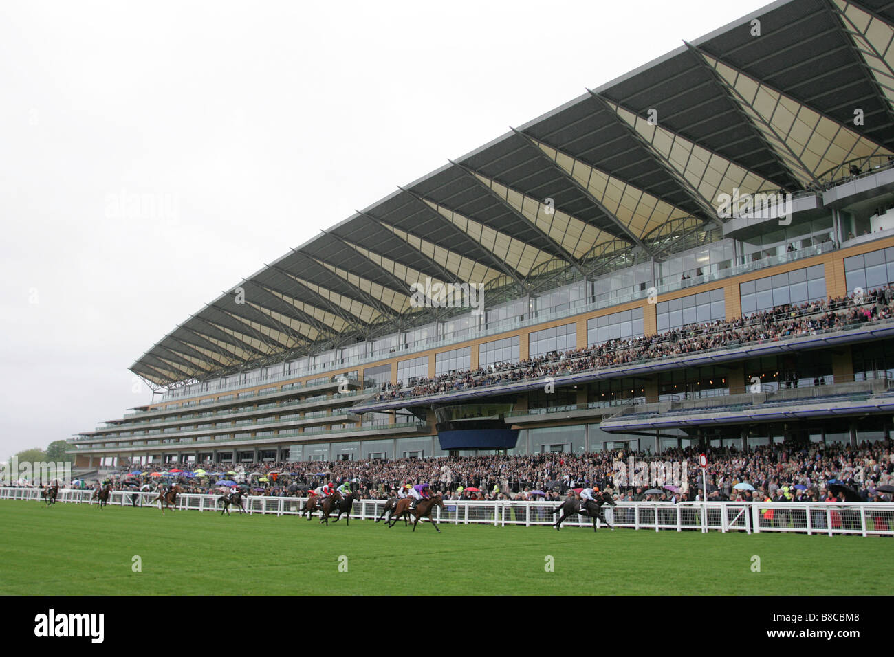 Horse Racing at Ascot Racecourse Stock Photo - Alamy
