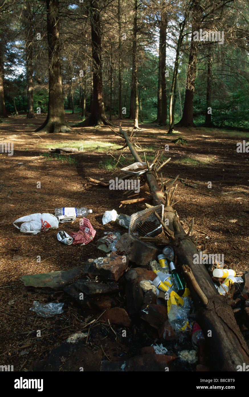 CAMPING WASTE in woods Stock Photo - Alamy