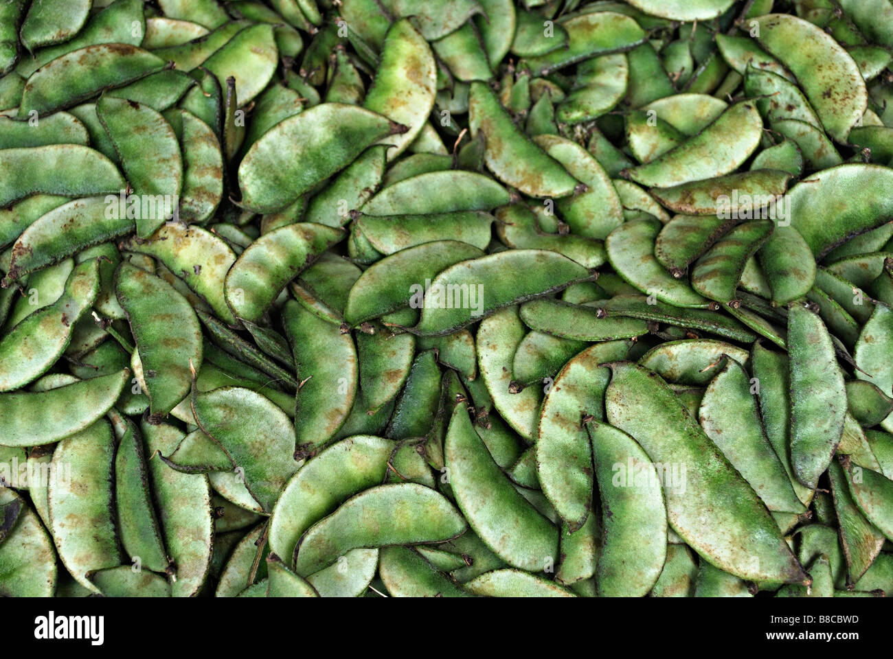 Papdi beans hi-res stock photography and images - Alamy