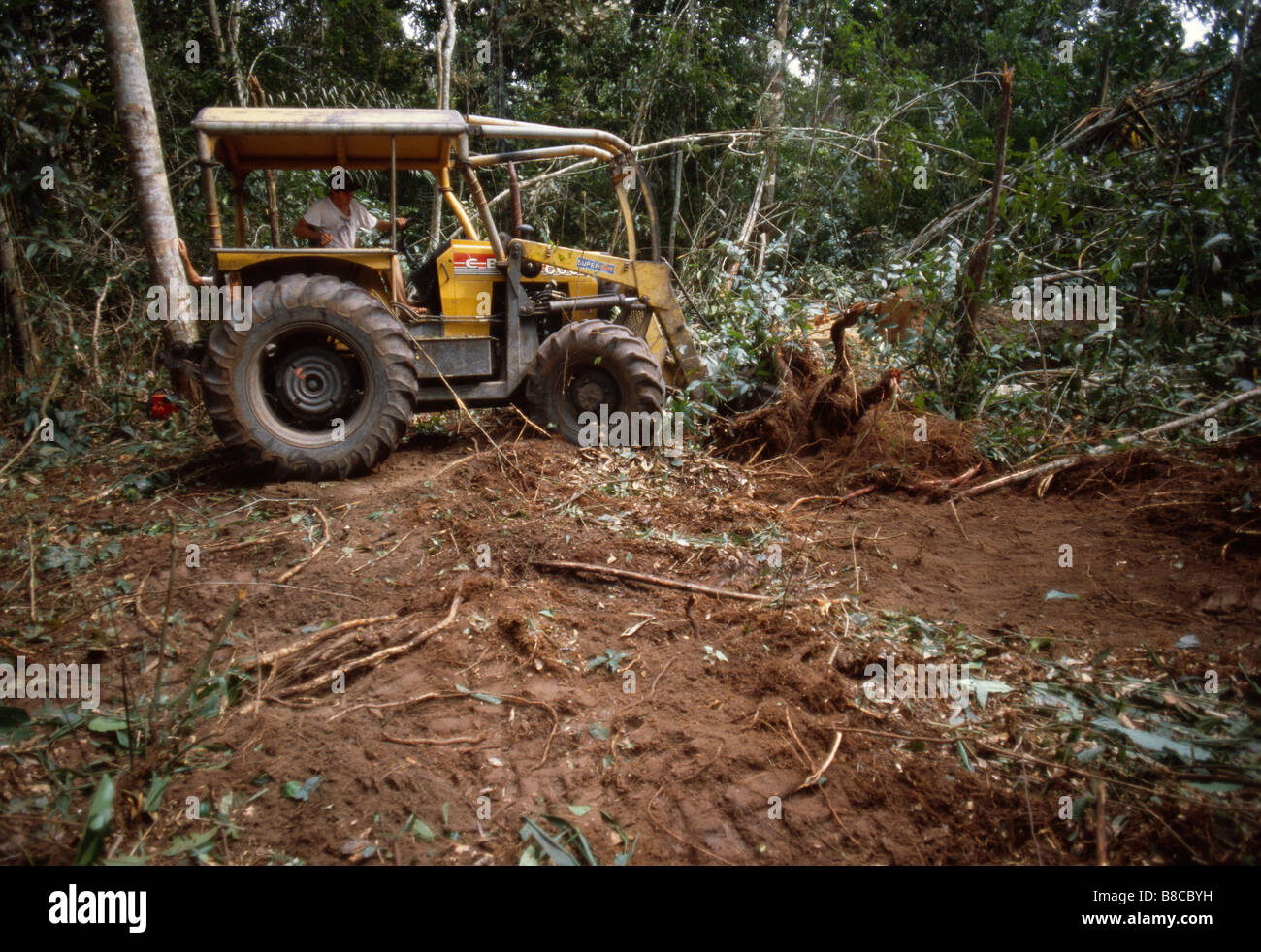 Hardwood extraction hi-res stock photography and images - Alamy