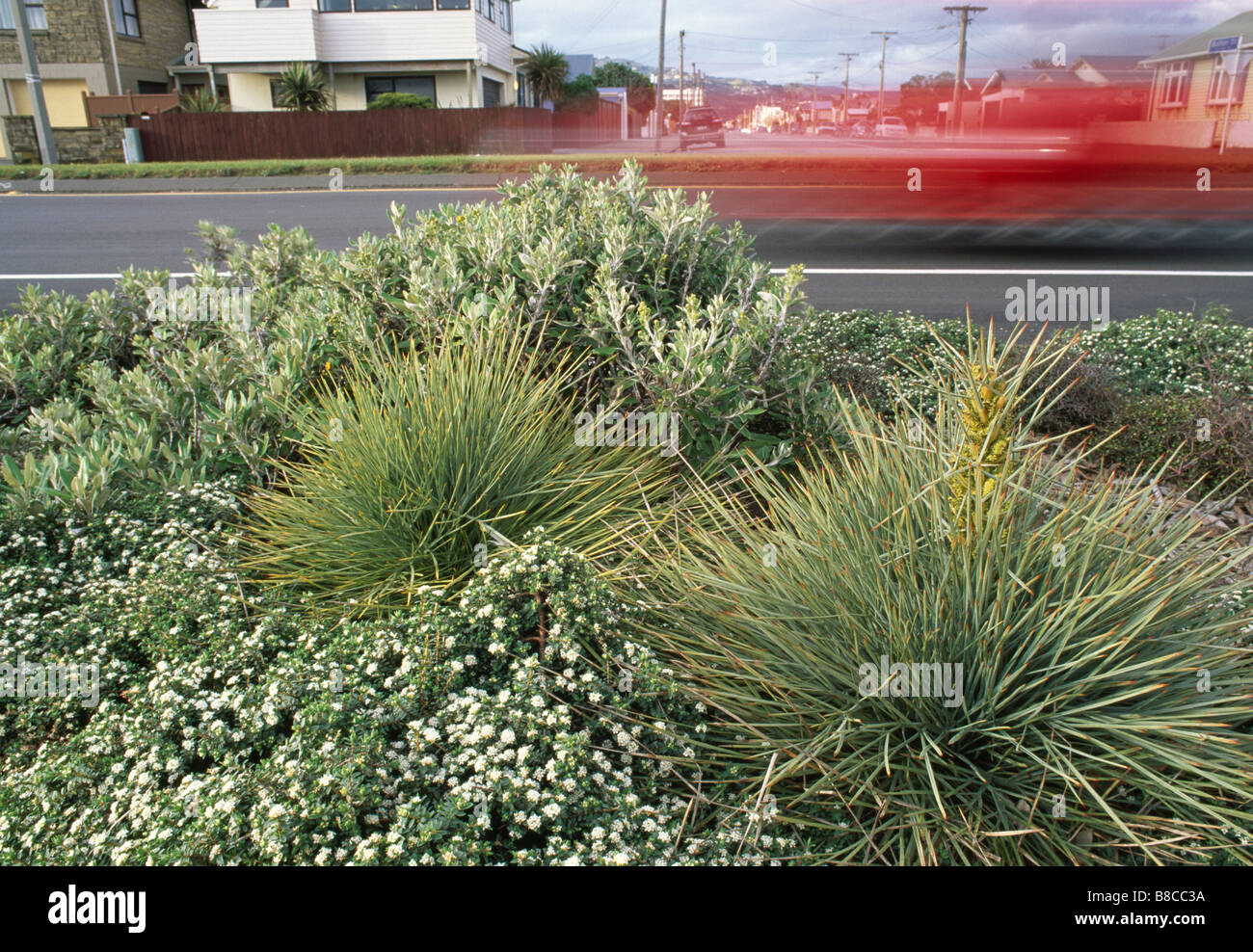 Daphne islands hi-res stock photography and images - Alamy