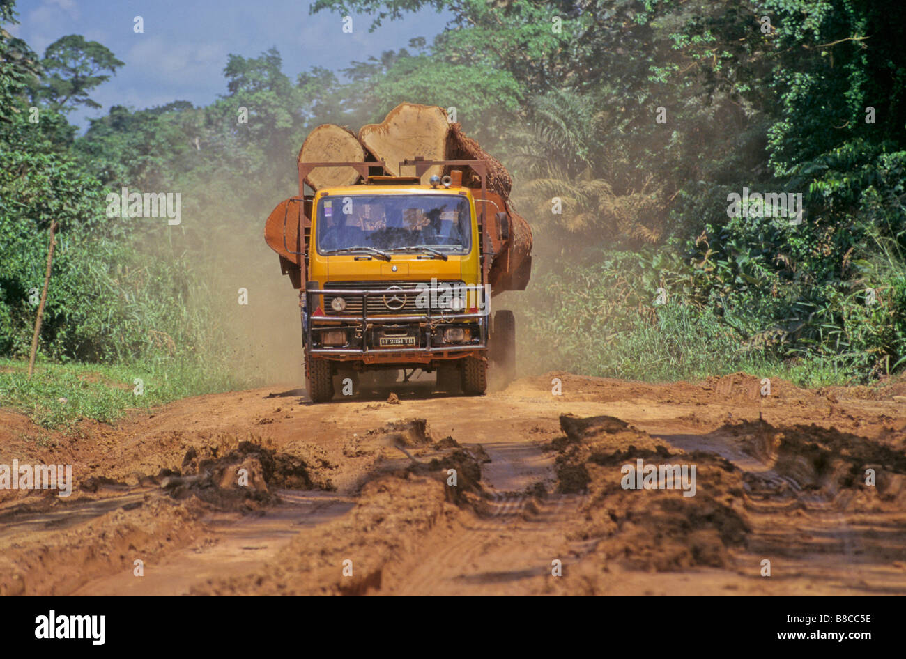 Deforestation logging truck hi-res stock photography and images - Alamy