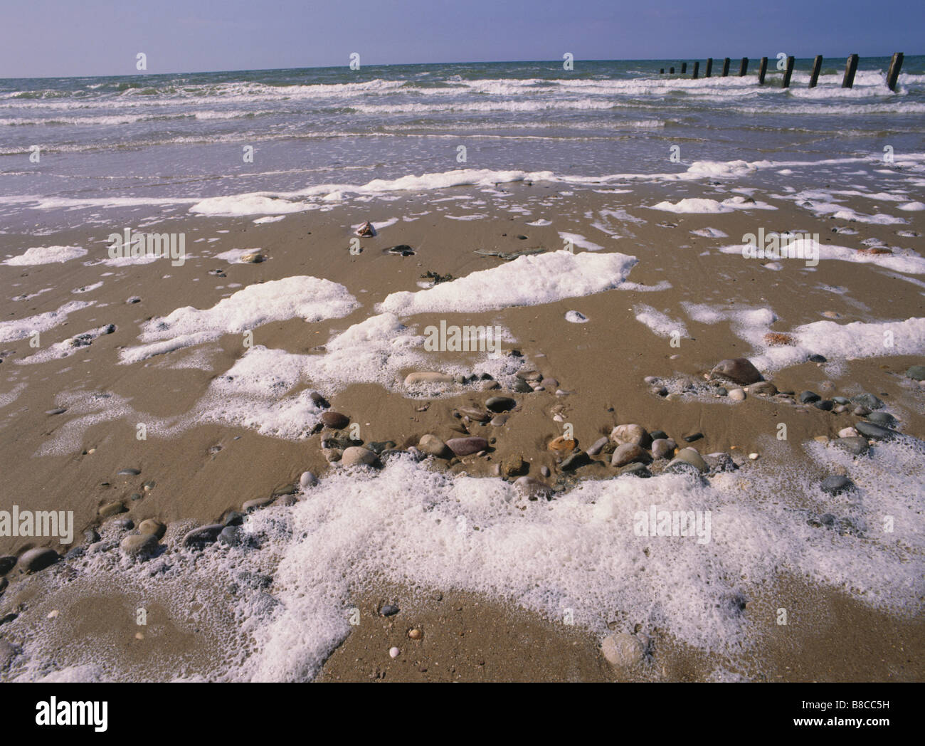 Sewage pollution in marine enviroment Stock Photo - Alamy