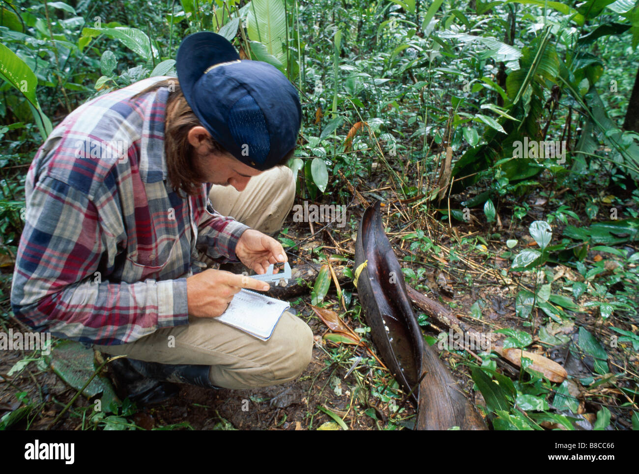 BIOLOGIST in forest Stock Photo - Alamy
