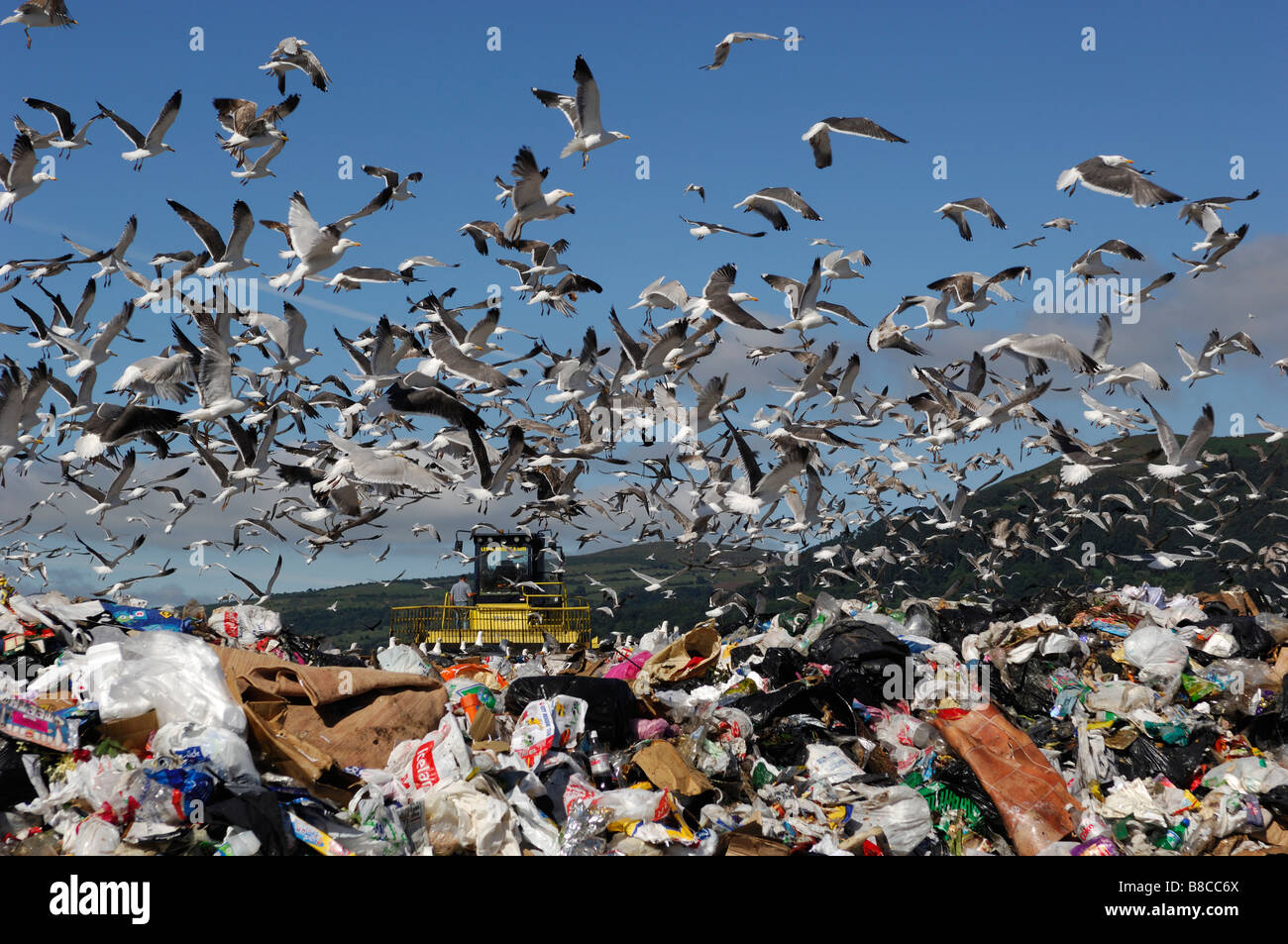 Landfill site hi-res stock photography and images - Alamy
