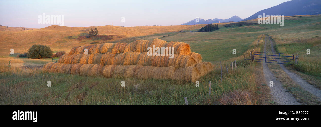 Hay meadow meadows hi-res stock photography and images - Alamy