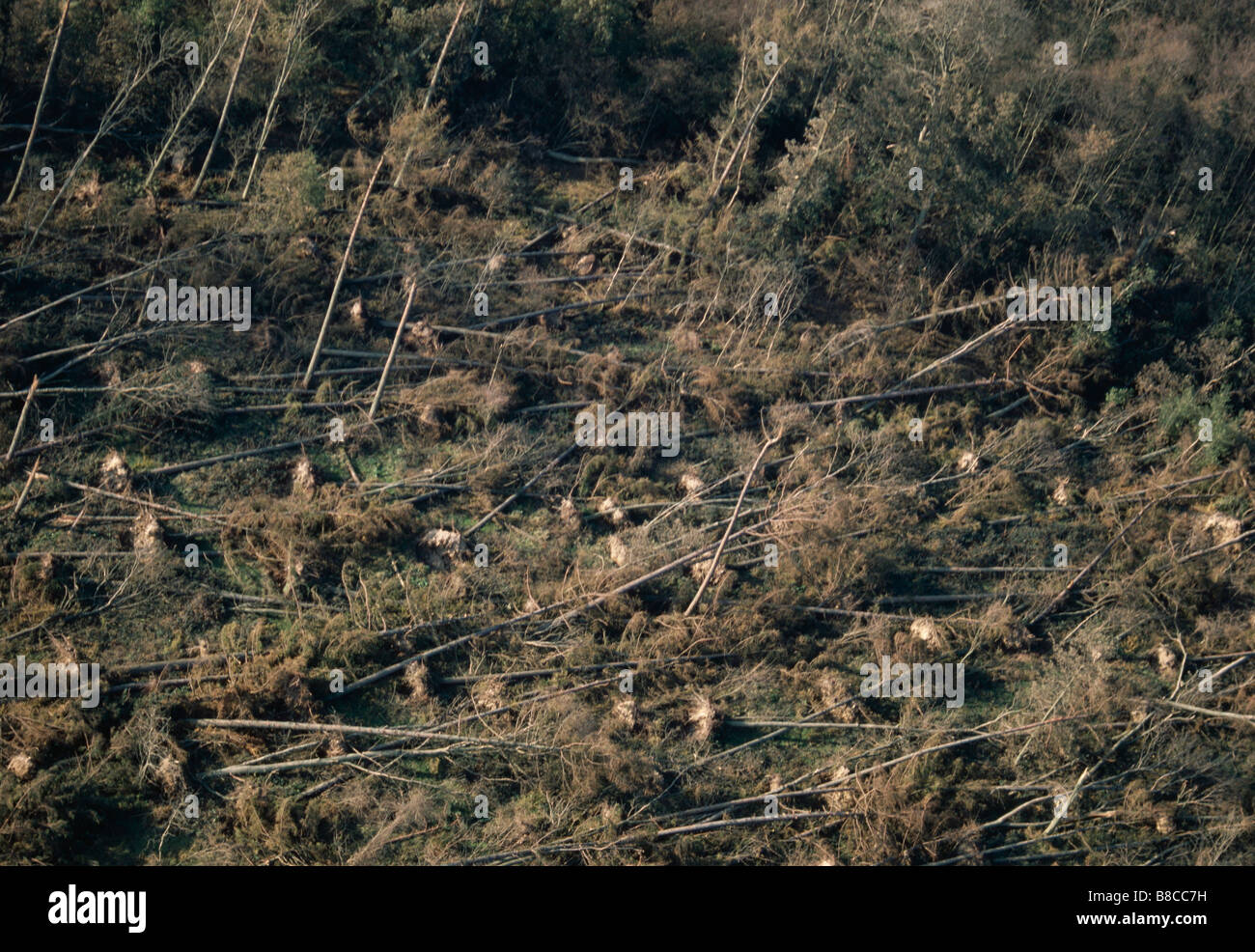 Hurricane damage hi-res stock photography and images - Alamy