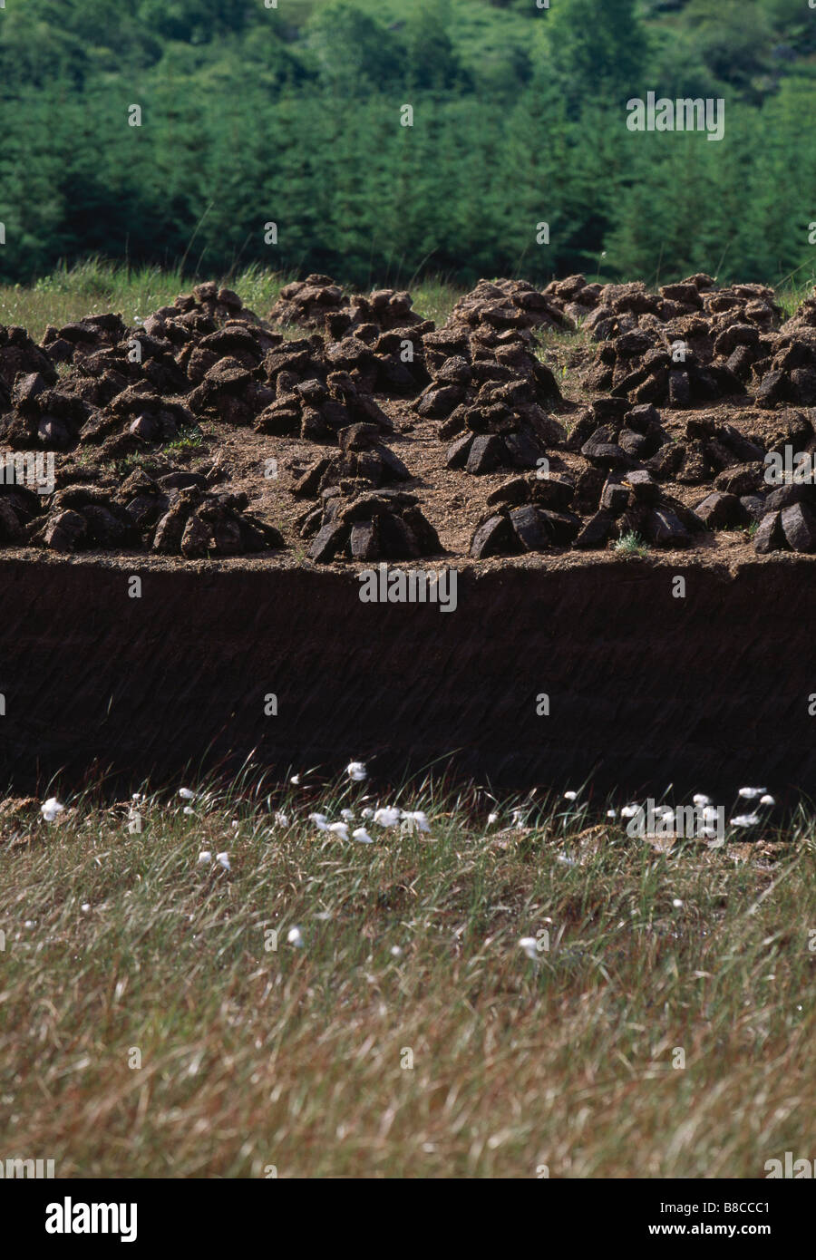 Bog destruction hi-res stock photography and images - Alamy
