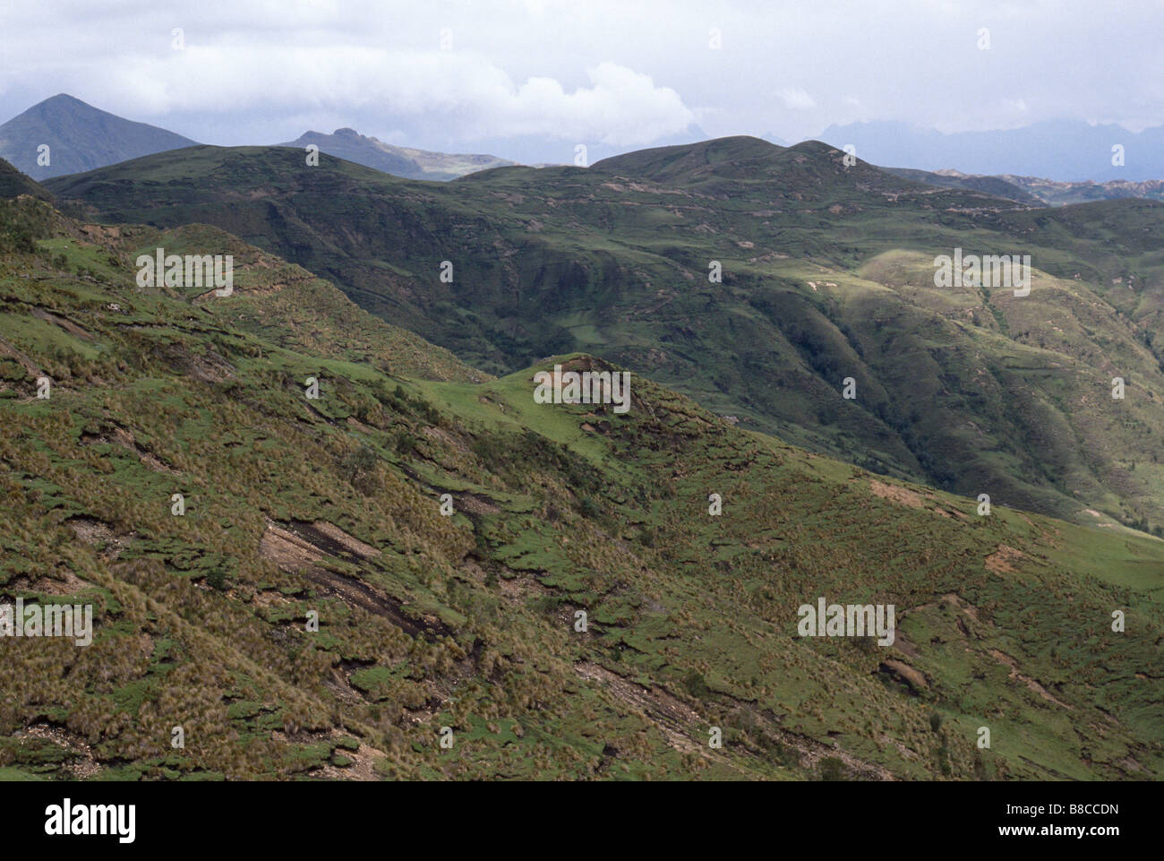 Cleared forest erosion hi-res stock photography and images - Alamy