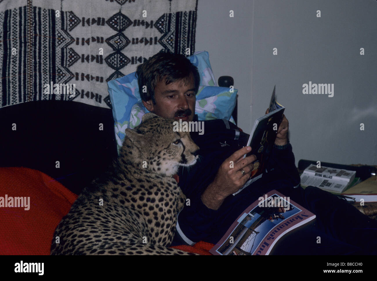 Human cheetah hi-res stock photography and images - Alamy