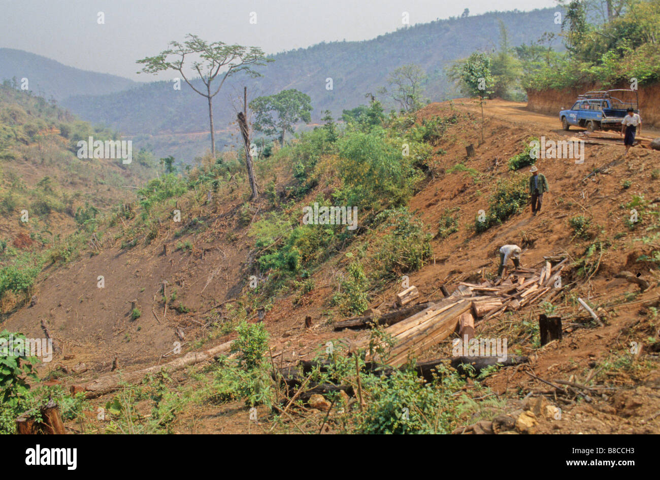 Clearing of hillside Stock Photo - Alamy