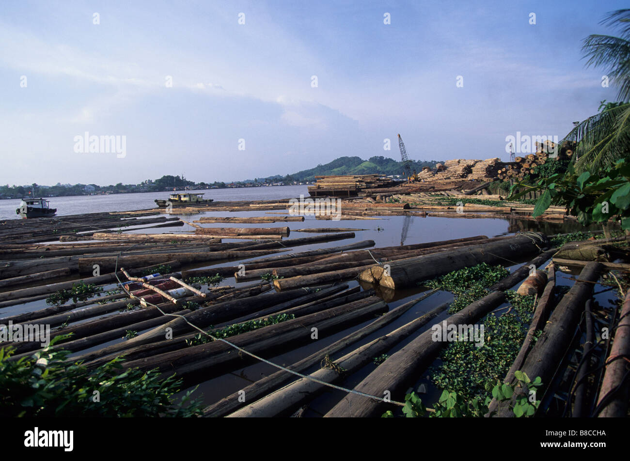 Floating of timber hi-res stock photography and images - Alamy