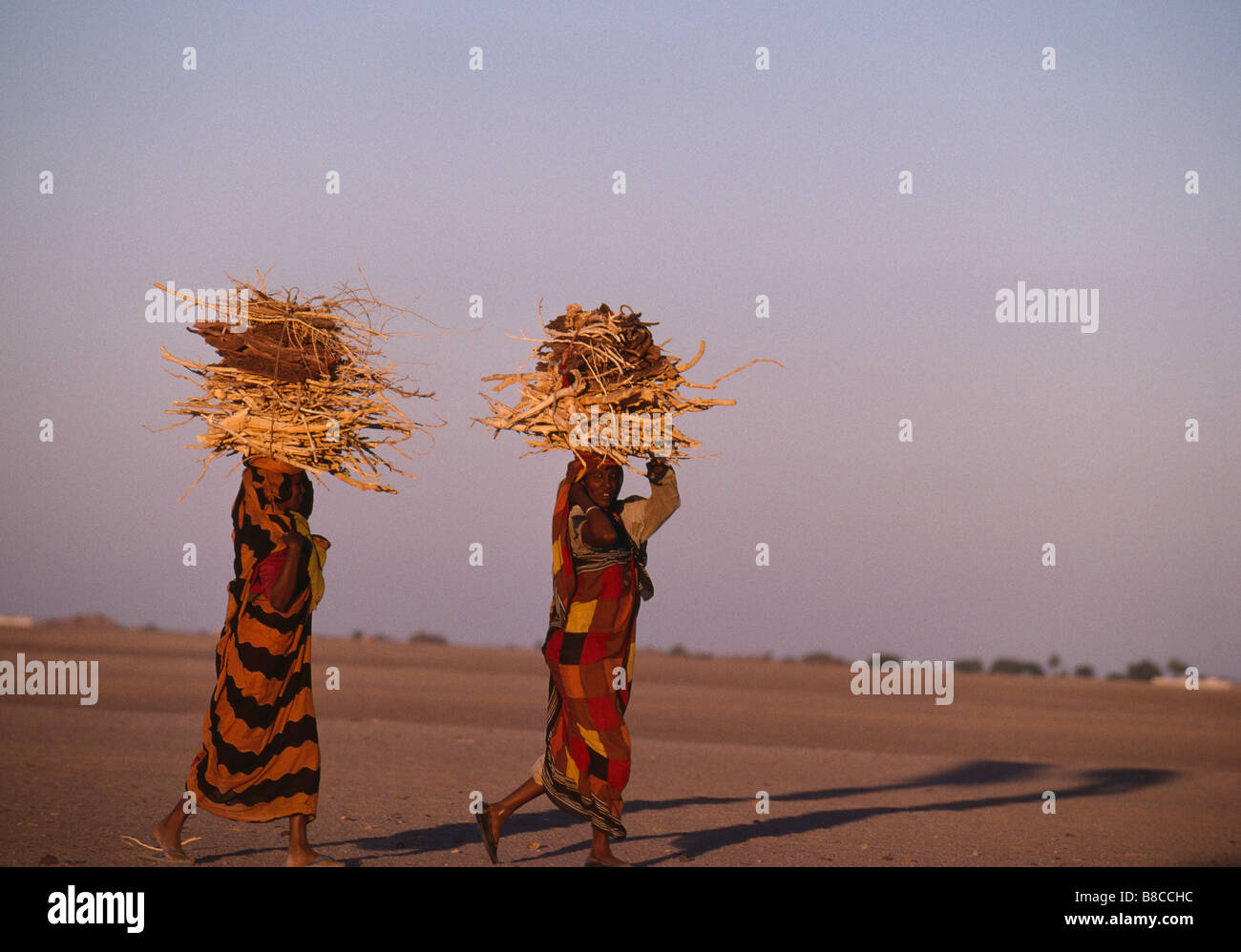 African women collecting firewood hi-res stock photography and images ...