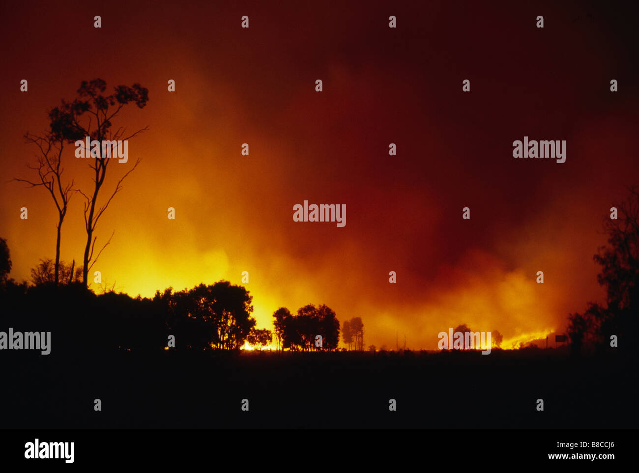 Australian forest fires hi-res stock photography and images - Alamy