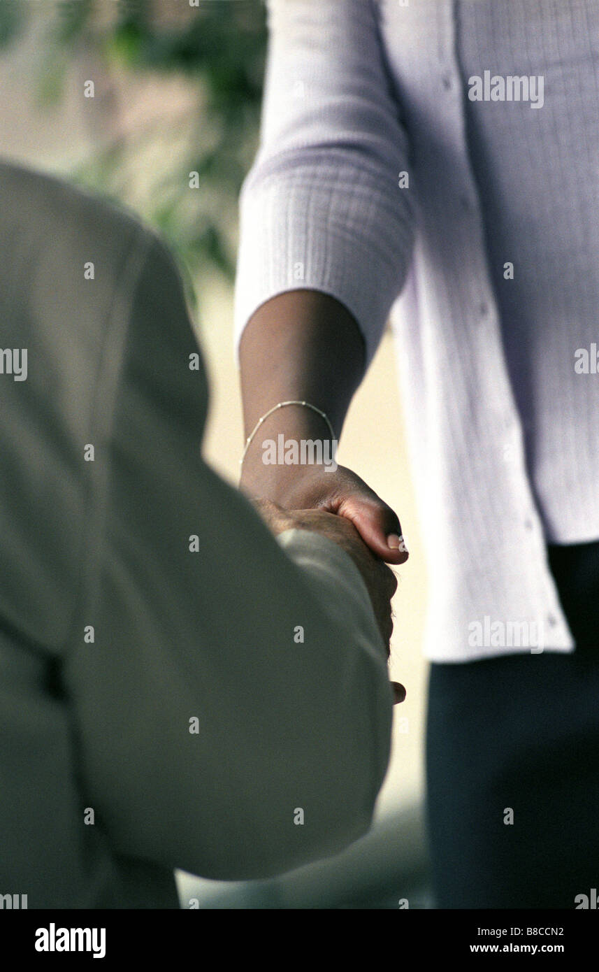 FL6207, Mad Cow Studio; Handshake male her executives Stock Photo - Alamy