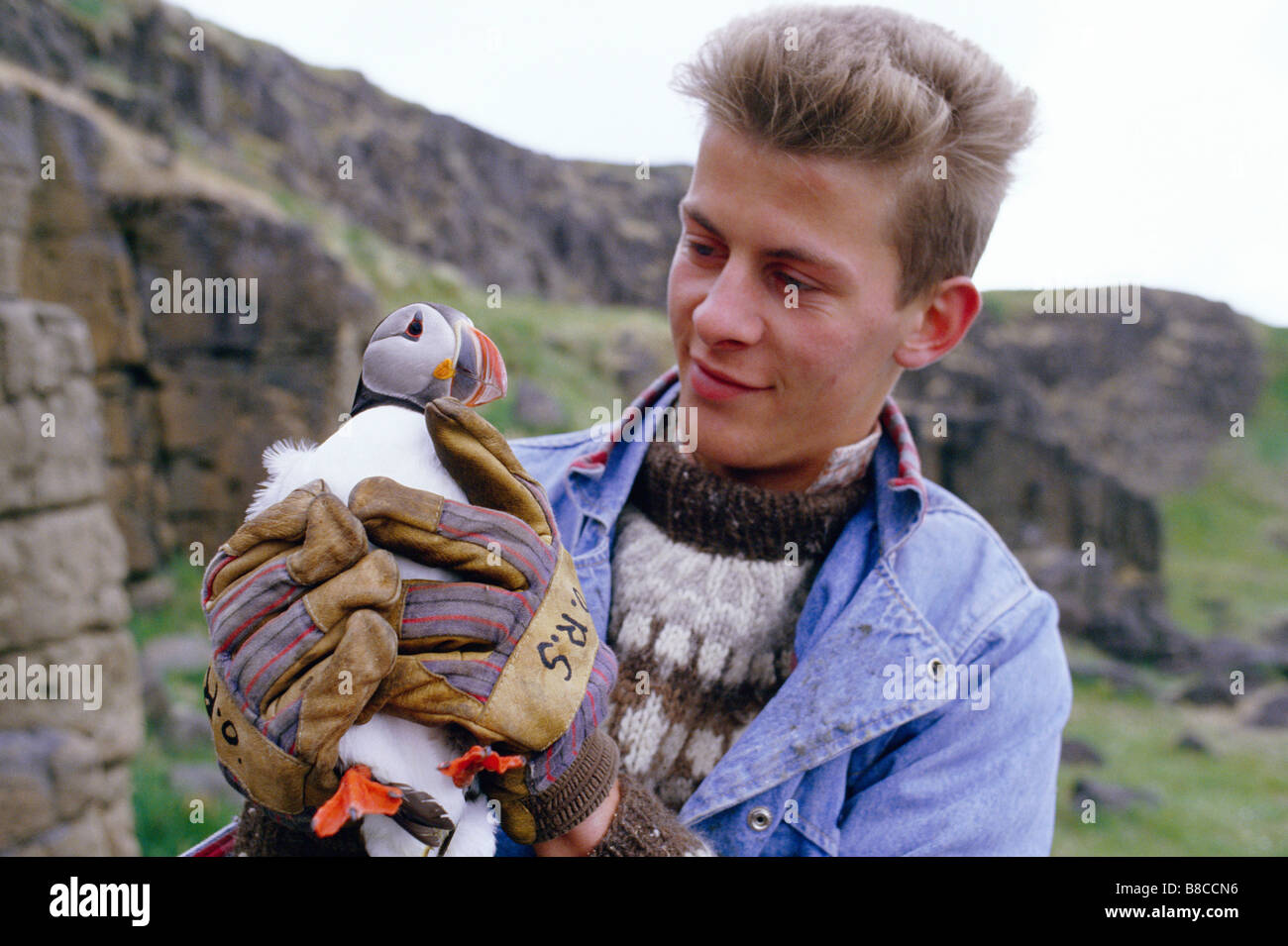 PUFFIN hand held Stock Photo - Alamy