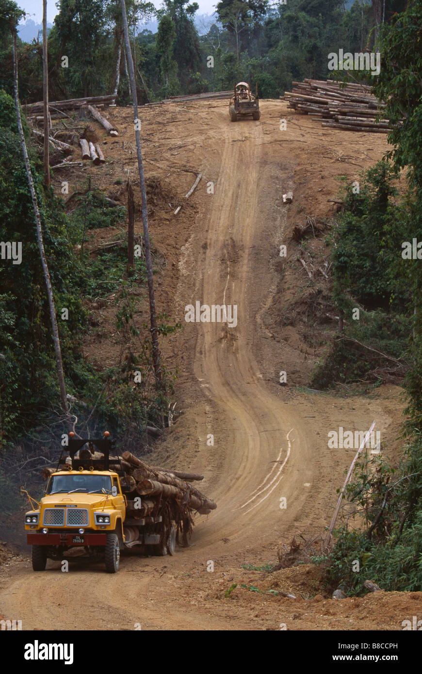 TRANSPORT OF LOGS Stock Photo - Alamy