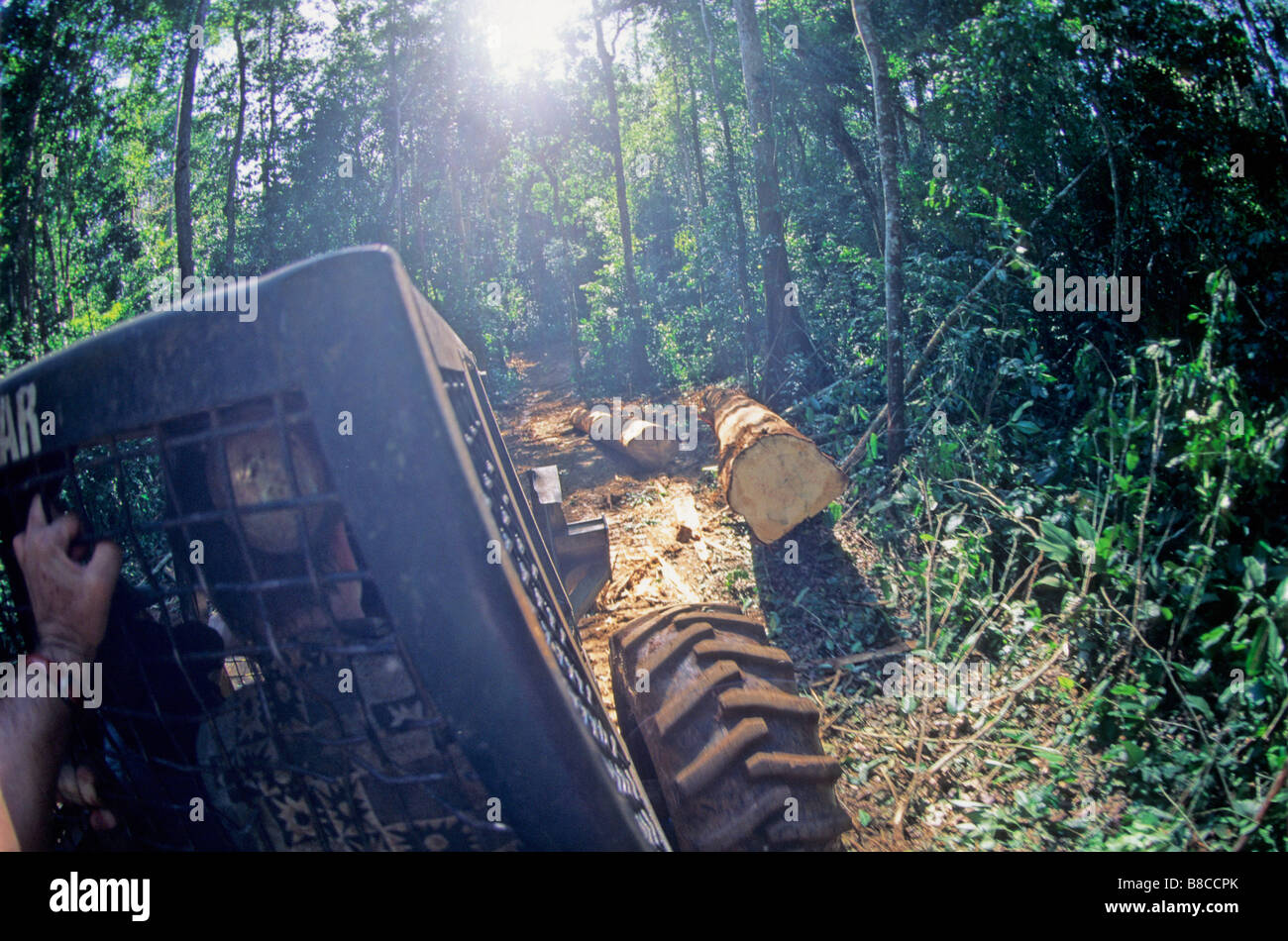 Extracting trees hi-res stock photography and images - Alamy