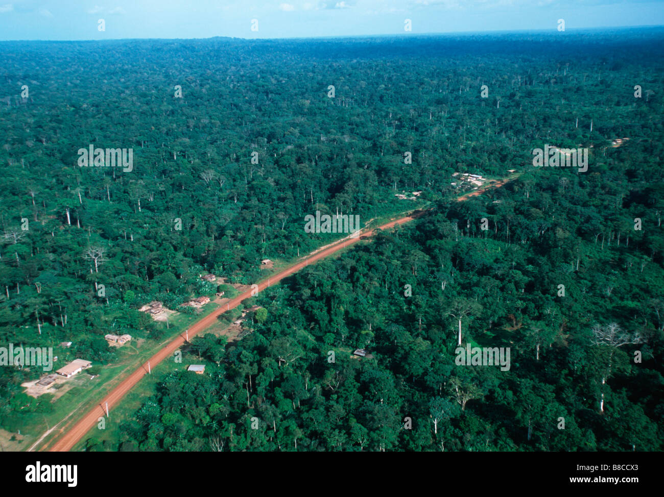 ROAD through rainforest Stock Photo - Alamy