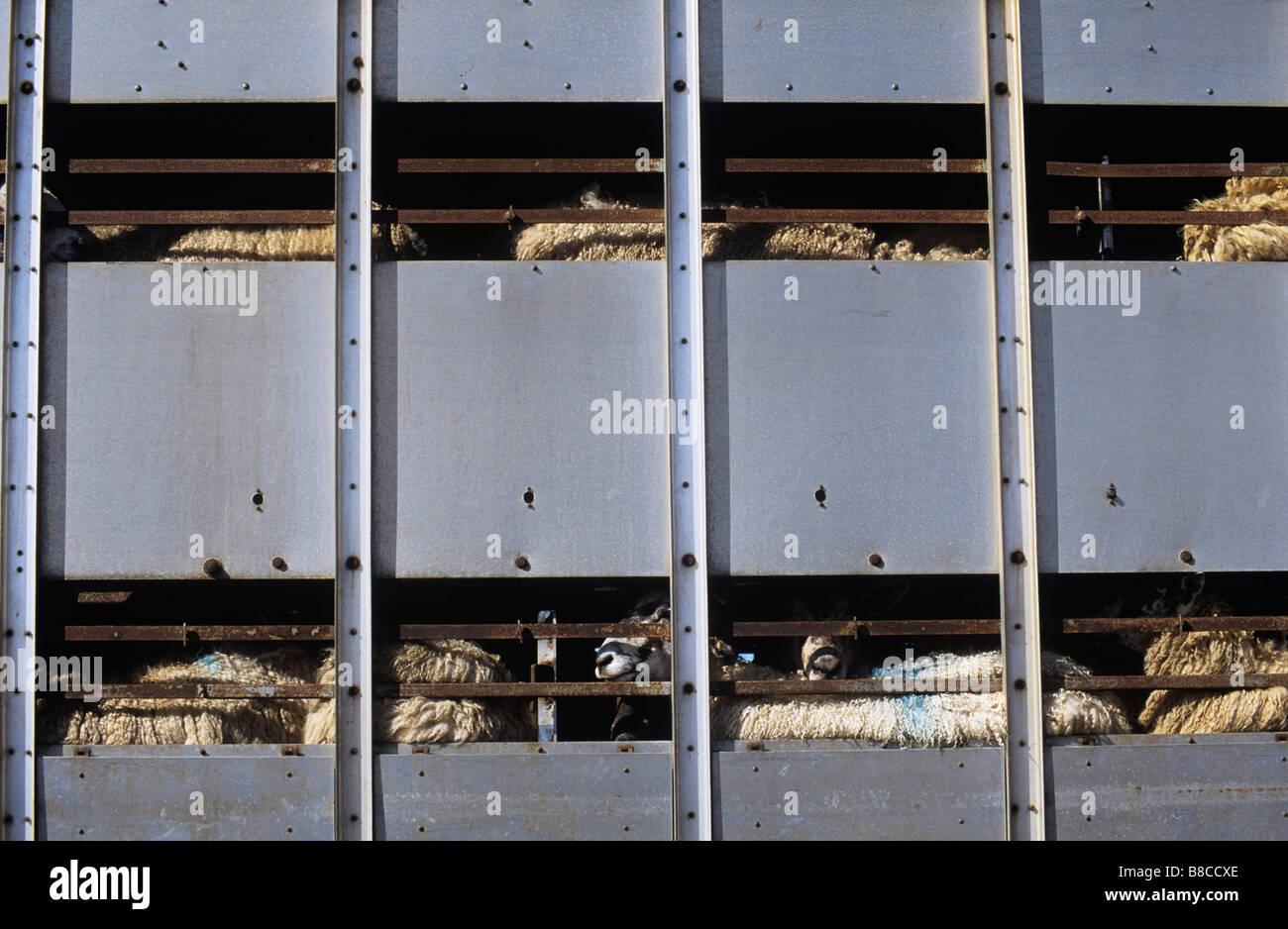 Pan of cracked baked mud in mid-day sun Stock Photo - Alamy