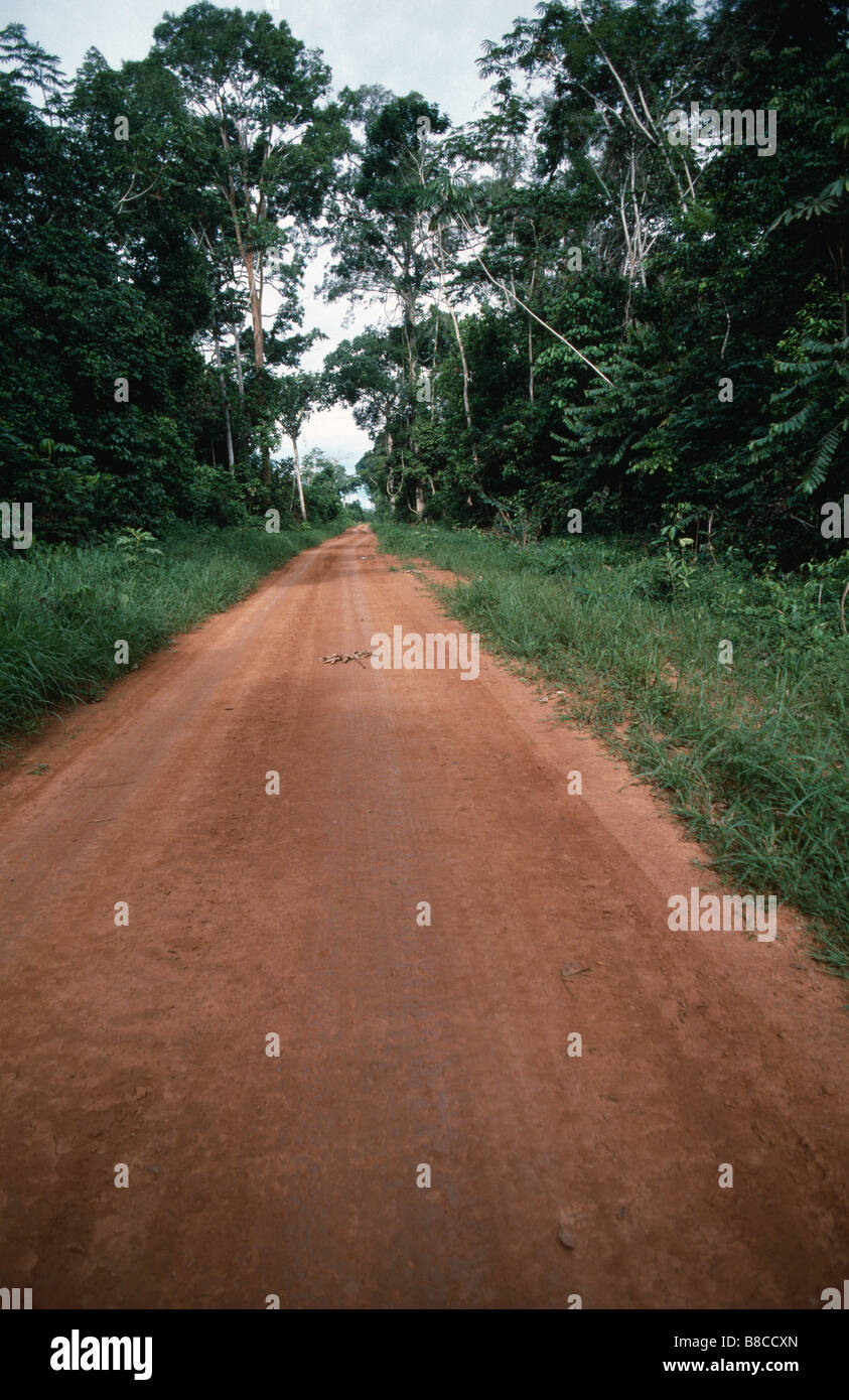 Logging roads deforestation hi-res stock photography and images - Alamy