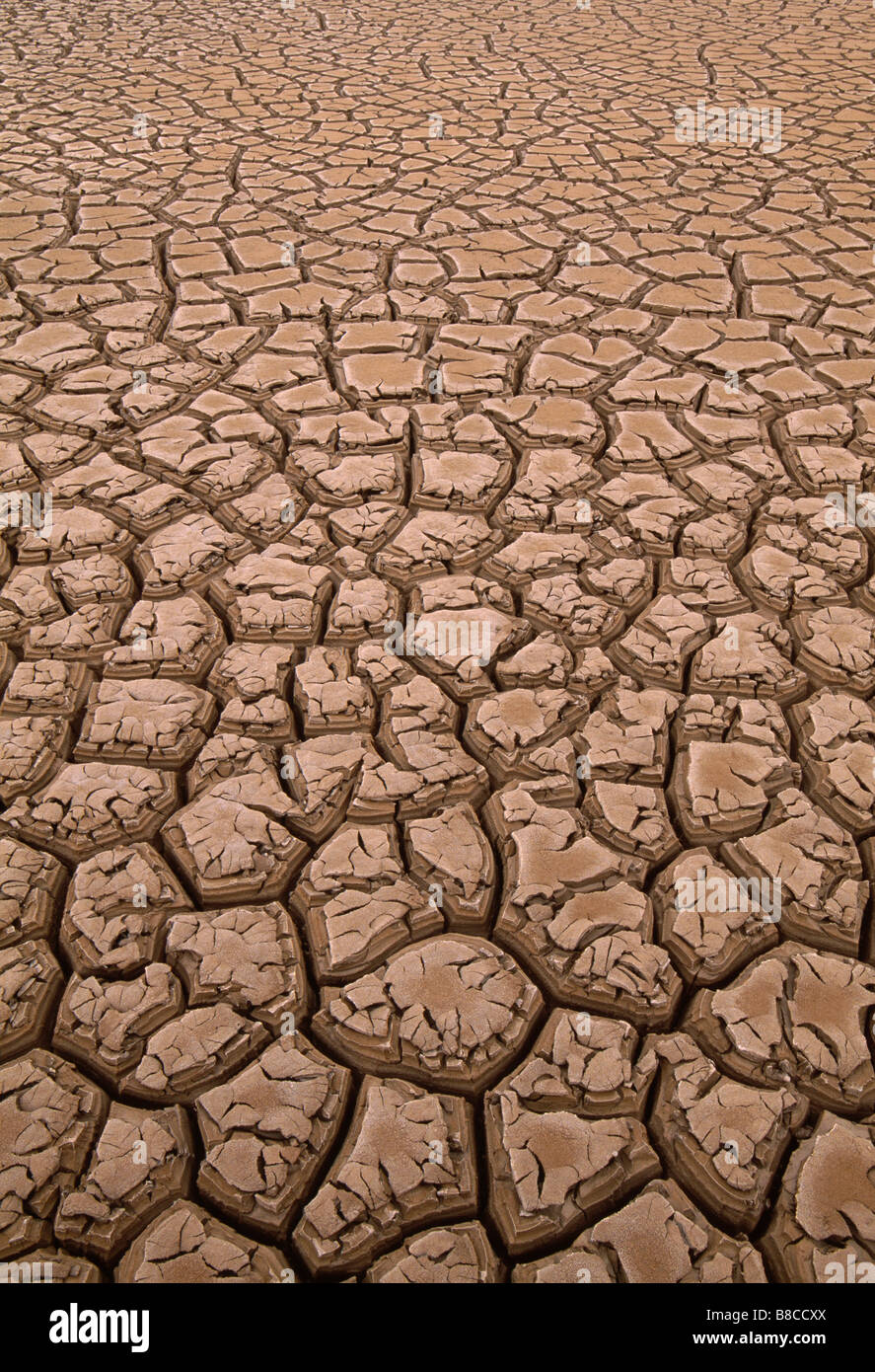 Dried mud muddy hi-res stock photography and images - Alamy