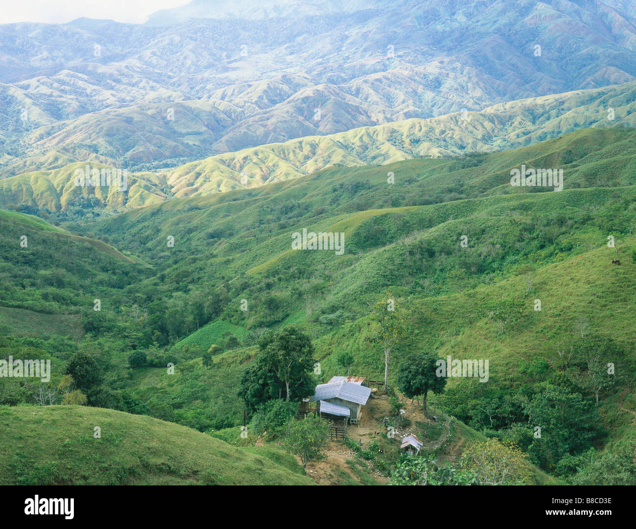 Overgrazed pasture hi-res stock photography and images - Alamy