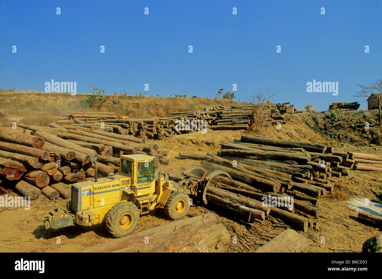 Exporting timber hi-res stock photography and images - Alamy