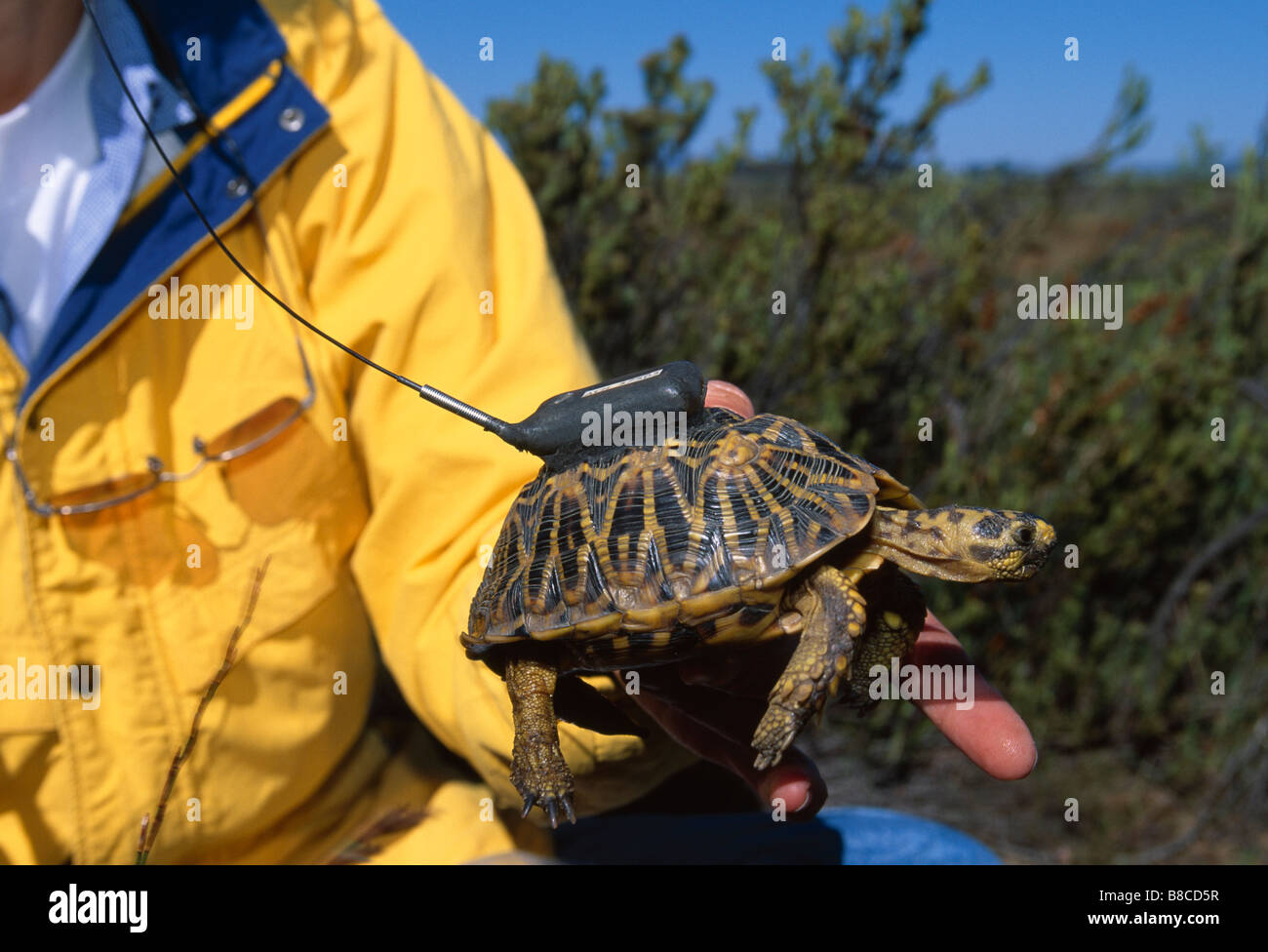 Transmitter transmitters hi-res stock photography and images - Alamy
