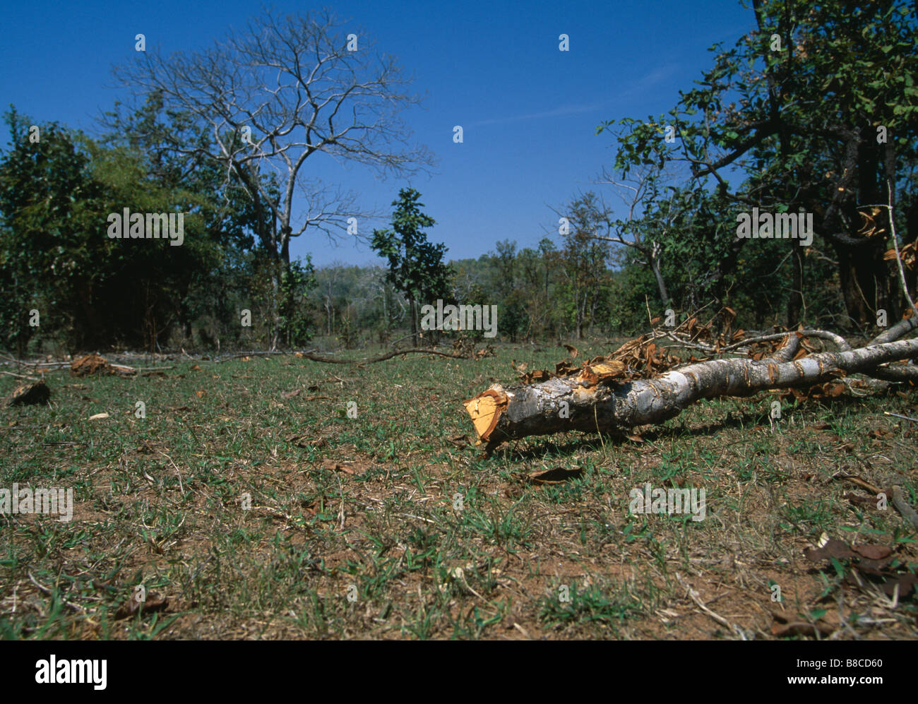 Buffer zones hi-res stock photography and images - Alamy