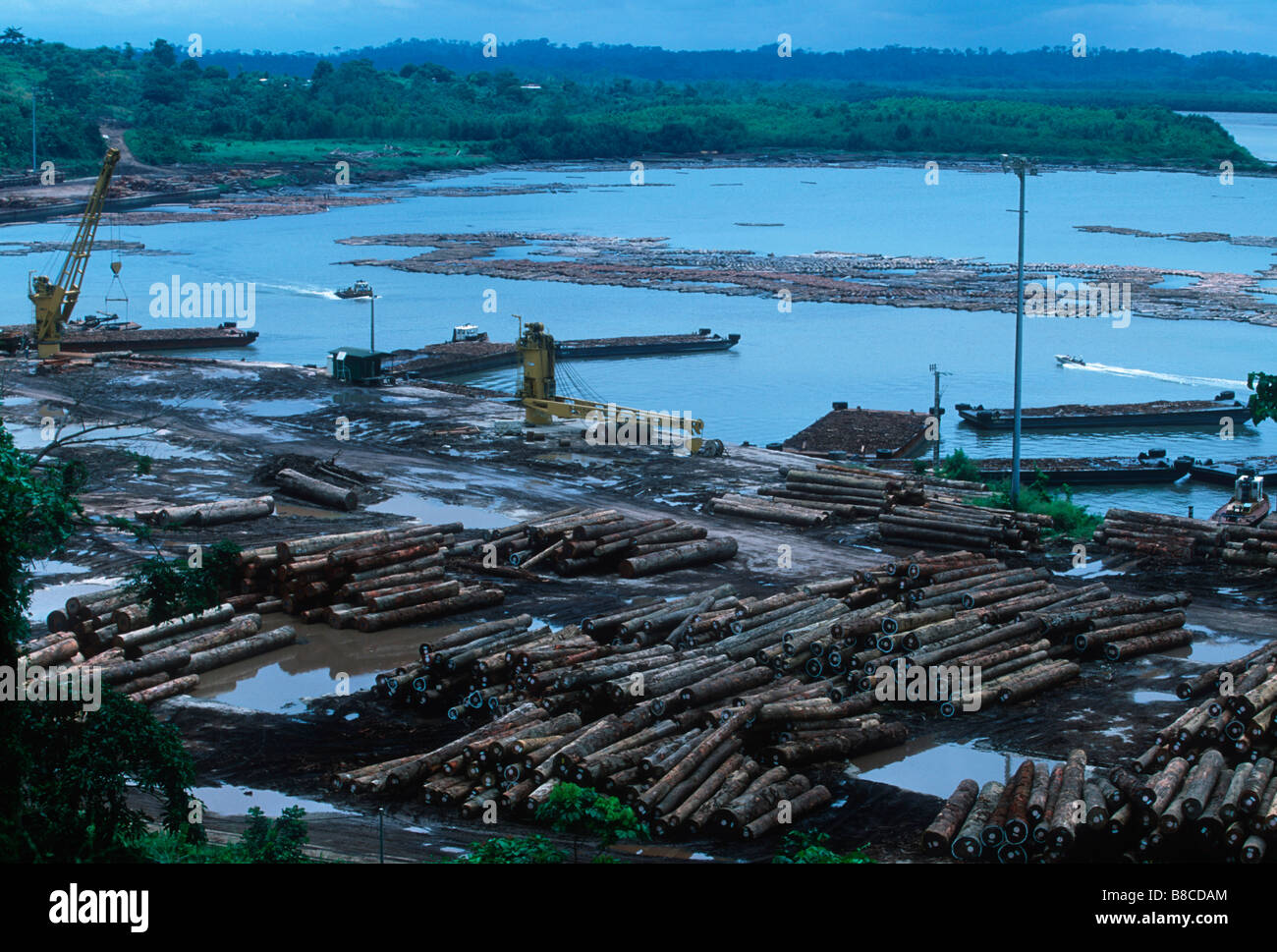African timber hi-res stock photography and images - Alamy
