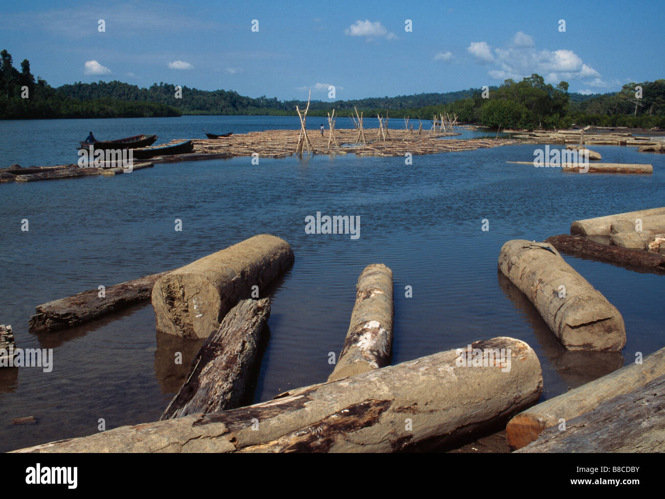 TIMBER in water Stock Photo - Alamy