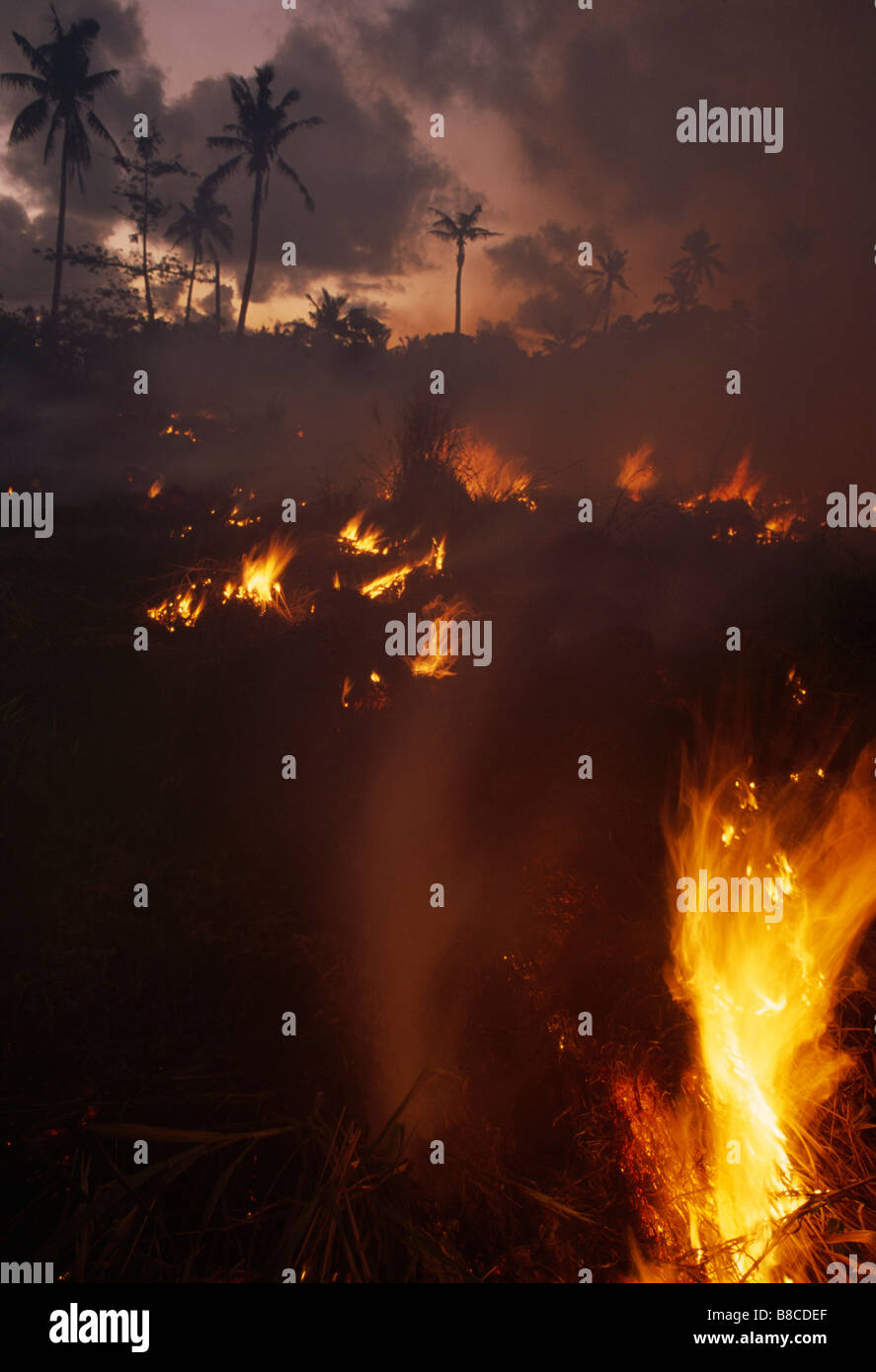 Slash High Resolution Stock Photography and Images - Alamy