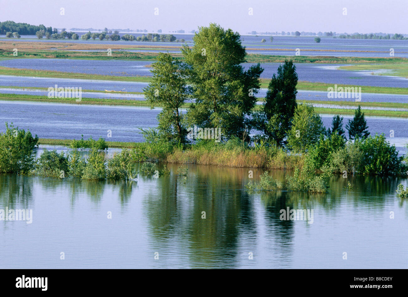 Volga river delta hi-res stock photography and images - Alamy