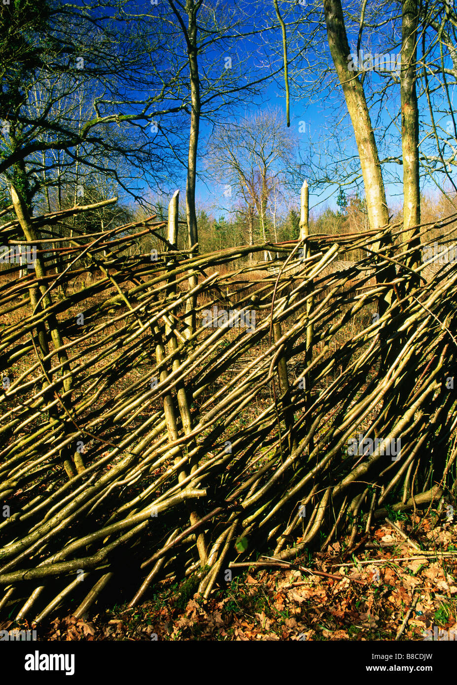 Coppice fence hi-res stock photography and images - Alamy