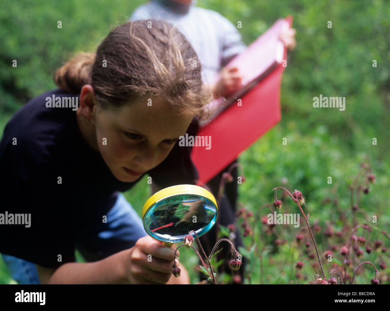 Children doing field study Stock Photo - Alamy