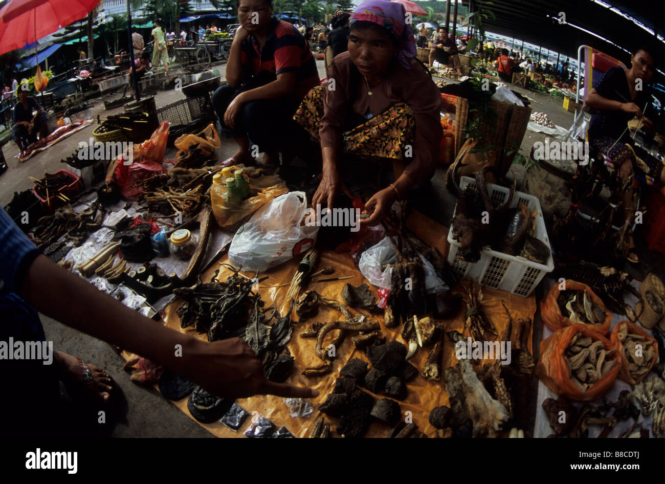 Display of traditional Chinese Medicine Stock Photo - Alamy