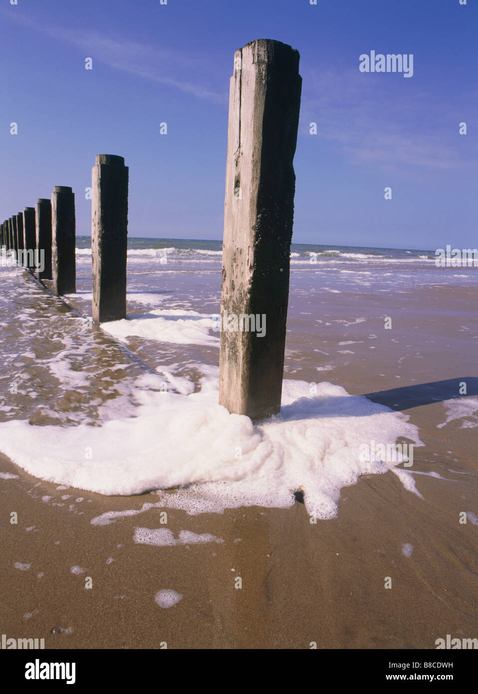 Sewage pollution in marine enviroment Stock Photo - Alamy