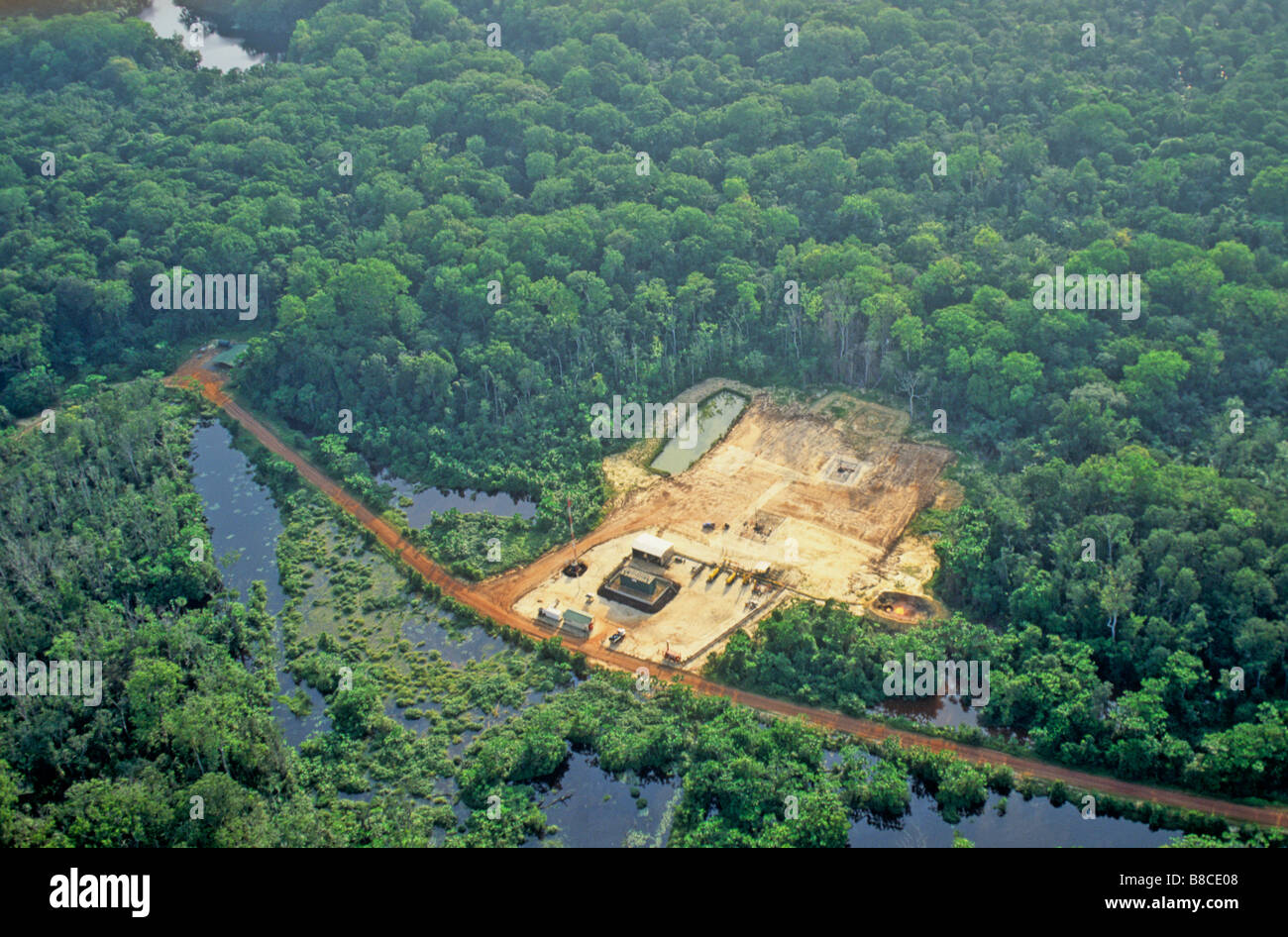 Logging trees aerial hi-res stock photography and images - Alamy