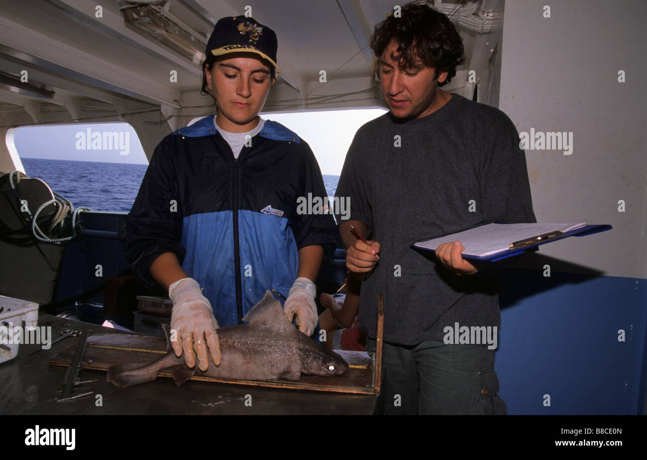 Researching marine life hi-res stock photography and images - Alamy