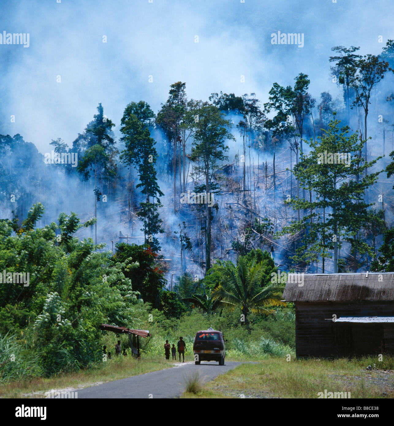 Deforestation rainforest south east asia hi-res stock photography and ...