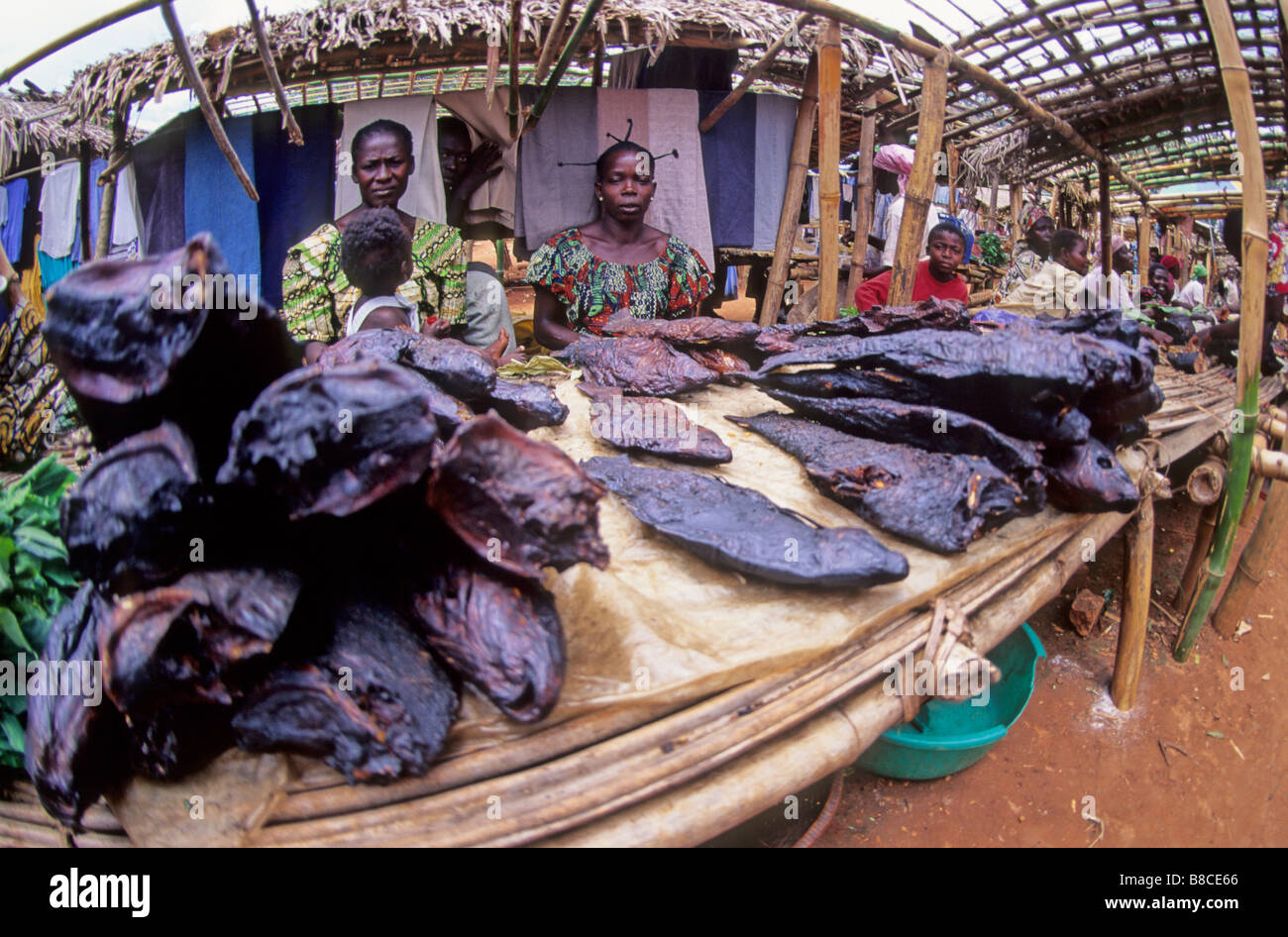 Bushmeat Market