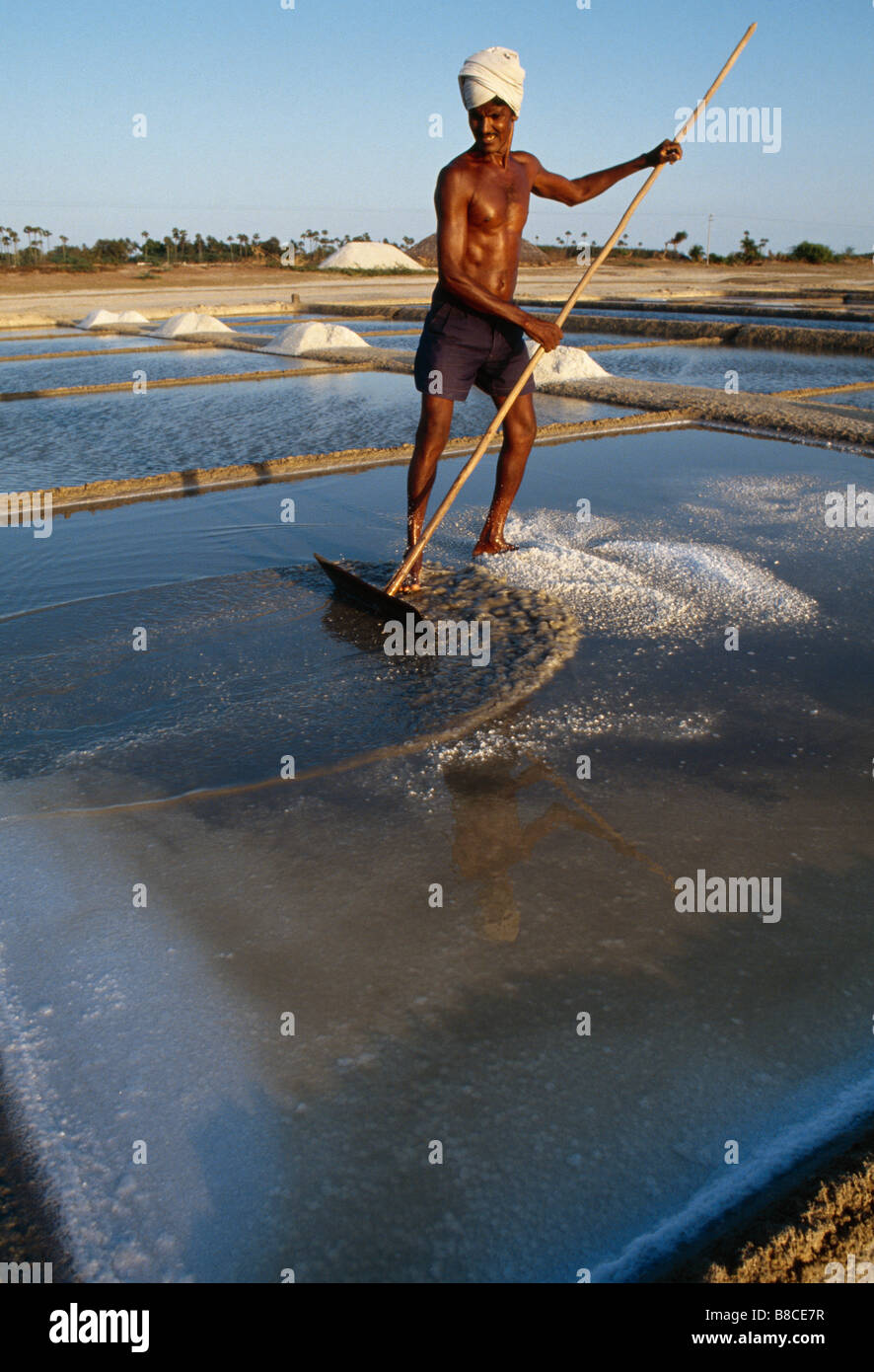 Salt pan workers hi-res stock photography and images - Alamy