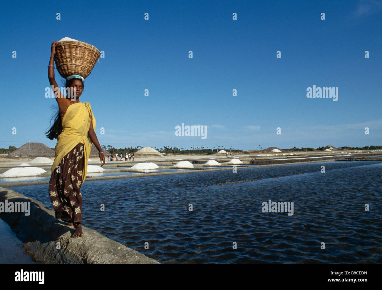 Salt pan india hi-res stock photography and images - Alamy