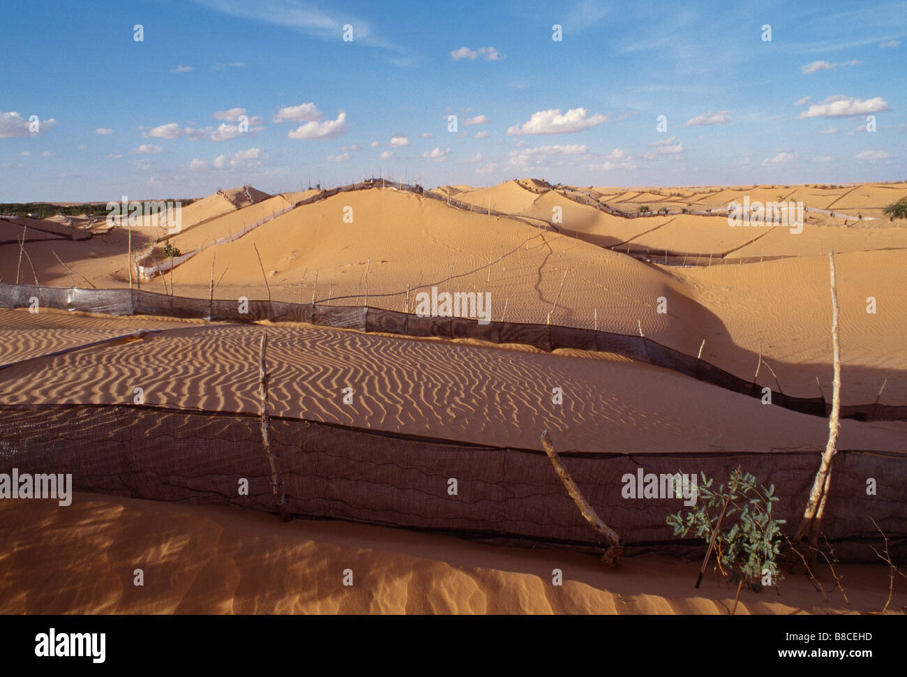 Dune Stabilisation High Resolution Stock Photography and Images - Alamy