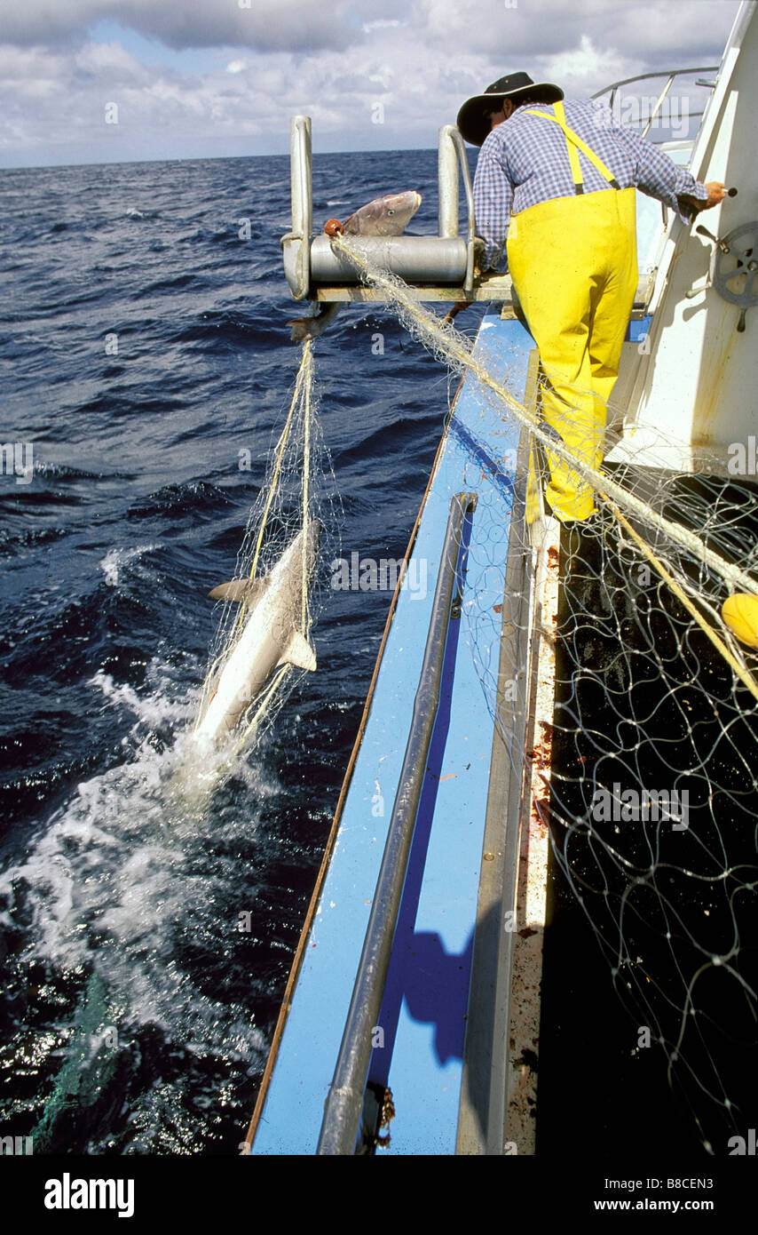 Underwater fish fishing trawler hi-res stock photography and images - Alamy