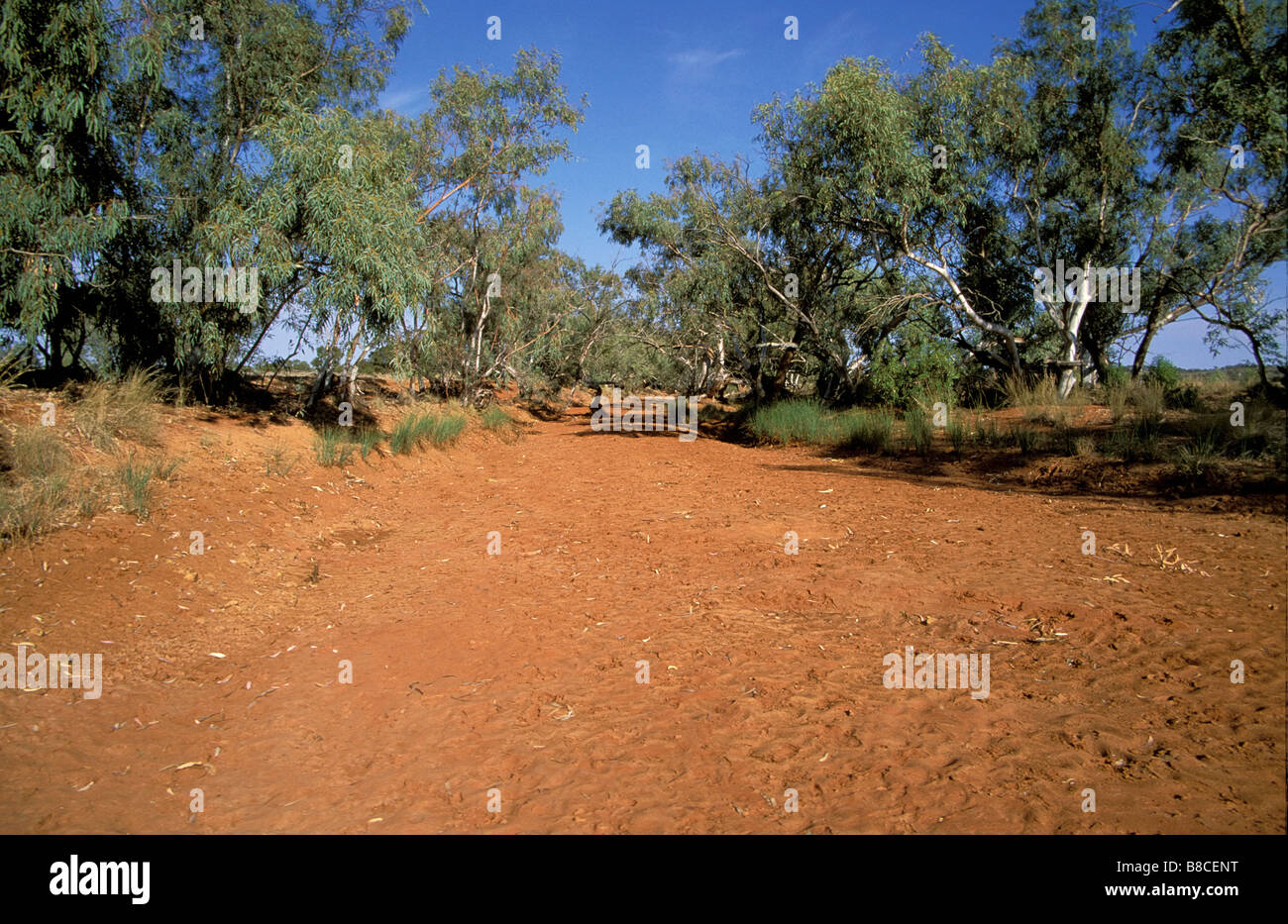Australian drought landscapes hi-res stock photography and images - Alamy