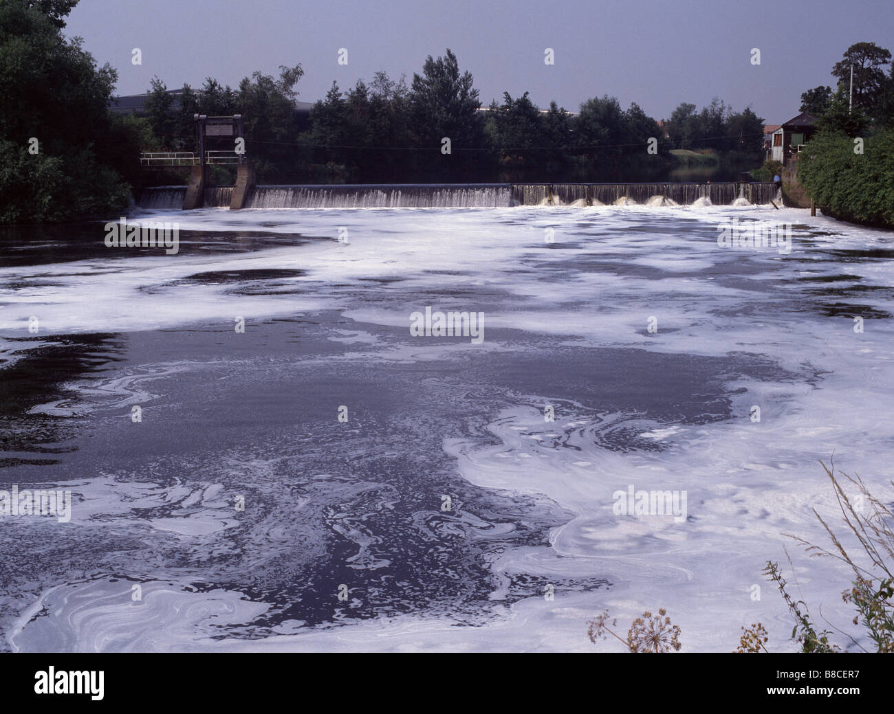 POLLUTION OF RIVER Stock Photo - Alamy